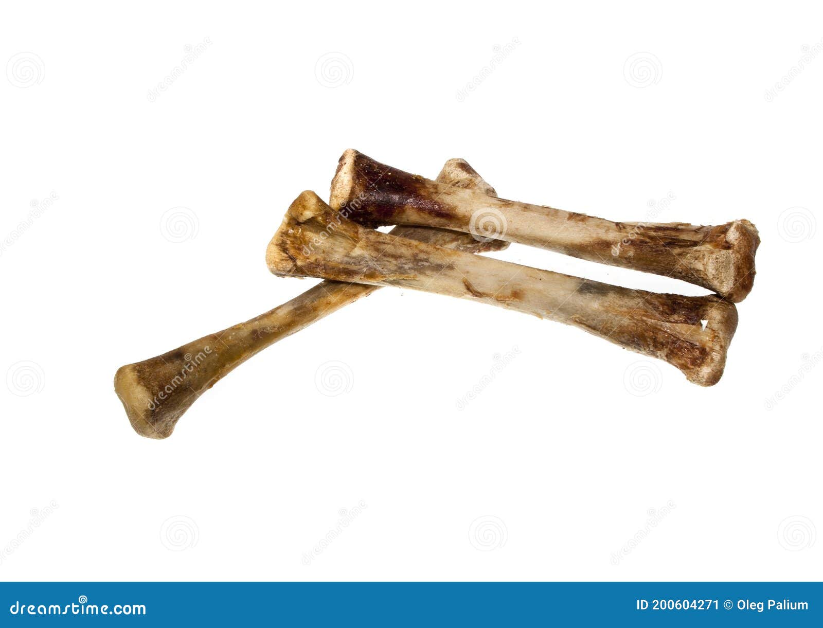 Bone Isolated on White Background Stock Image - Image of fresh, grill ...