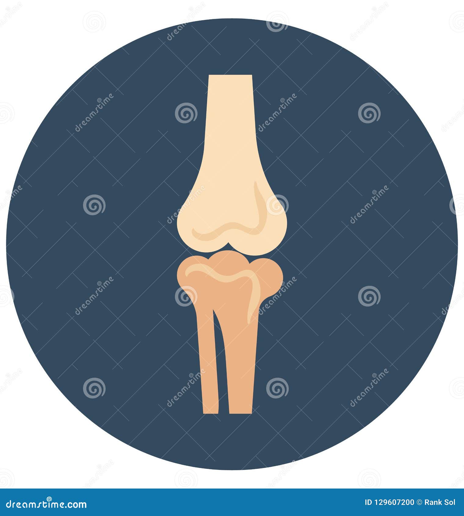 Bone Joints, Isolated Vector Icon that Can Be Easily Modified or Edit ...