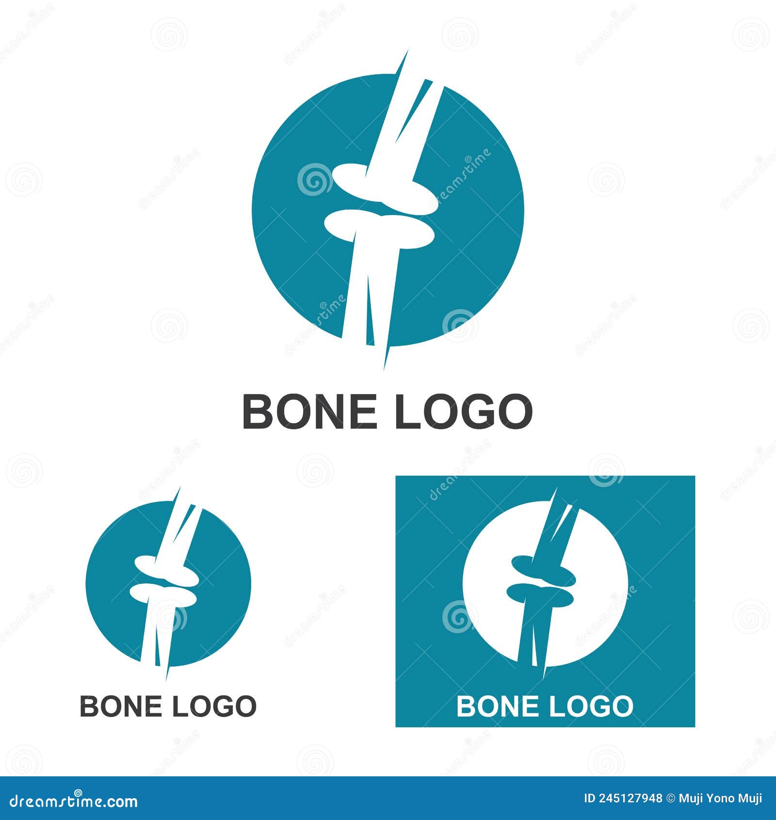 Bone Logo Icon Vector Design Template Illustration Stock Vector ...
