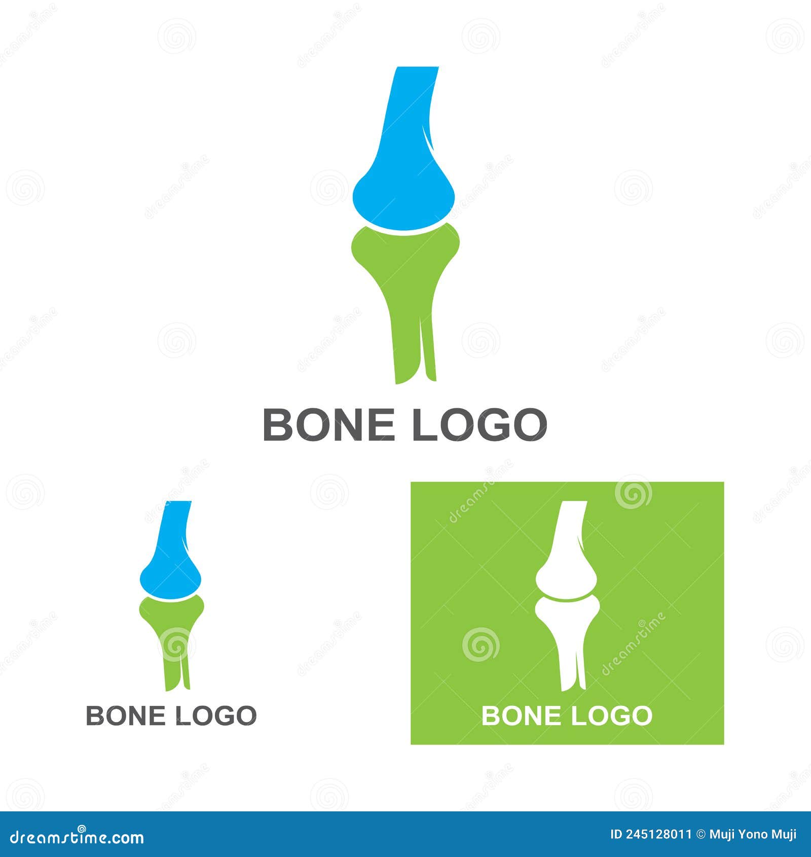 Bone Logo Icon Vector Design Template Illustration Stock Vector ...
