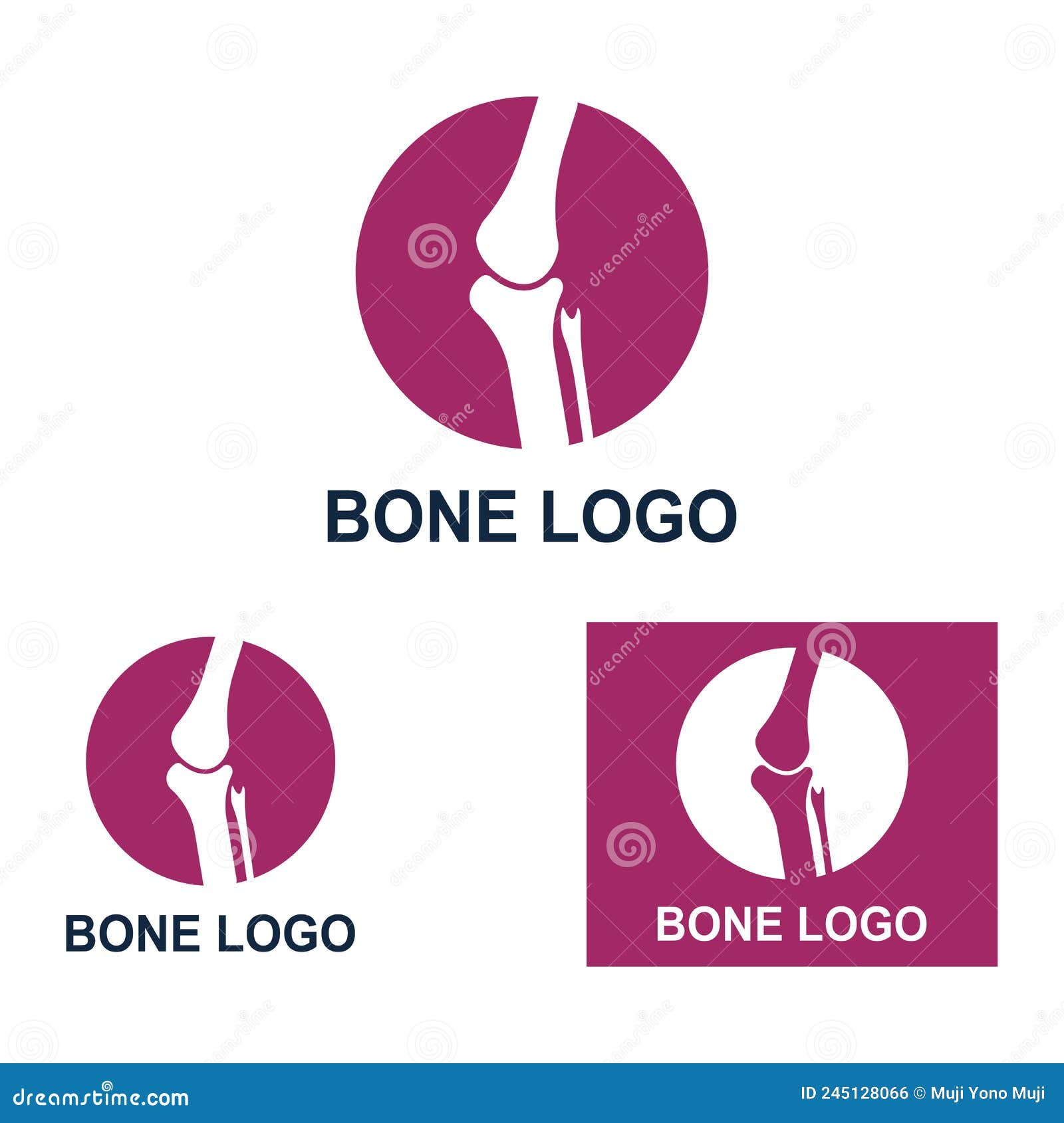 Bone Logo Icon Vector Design Template Illustration Stock Vector ...