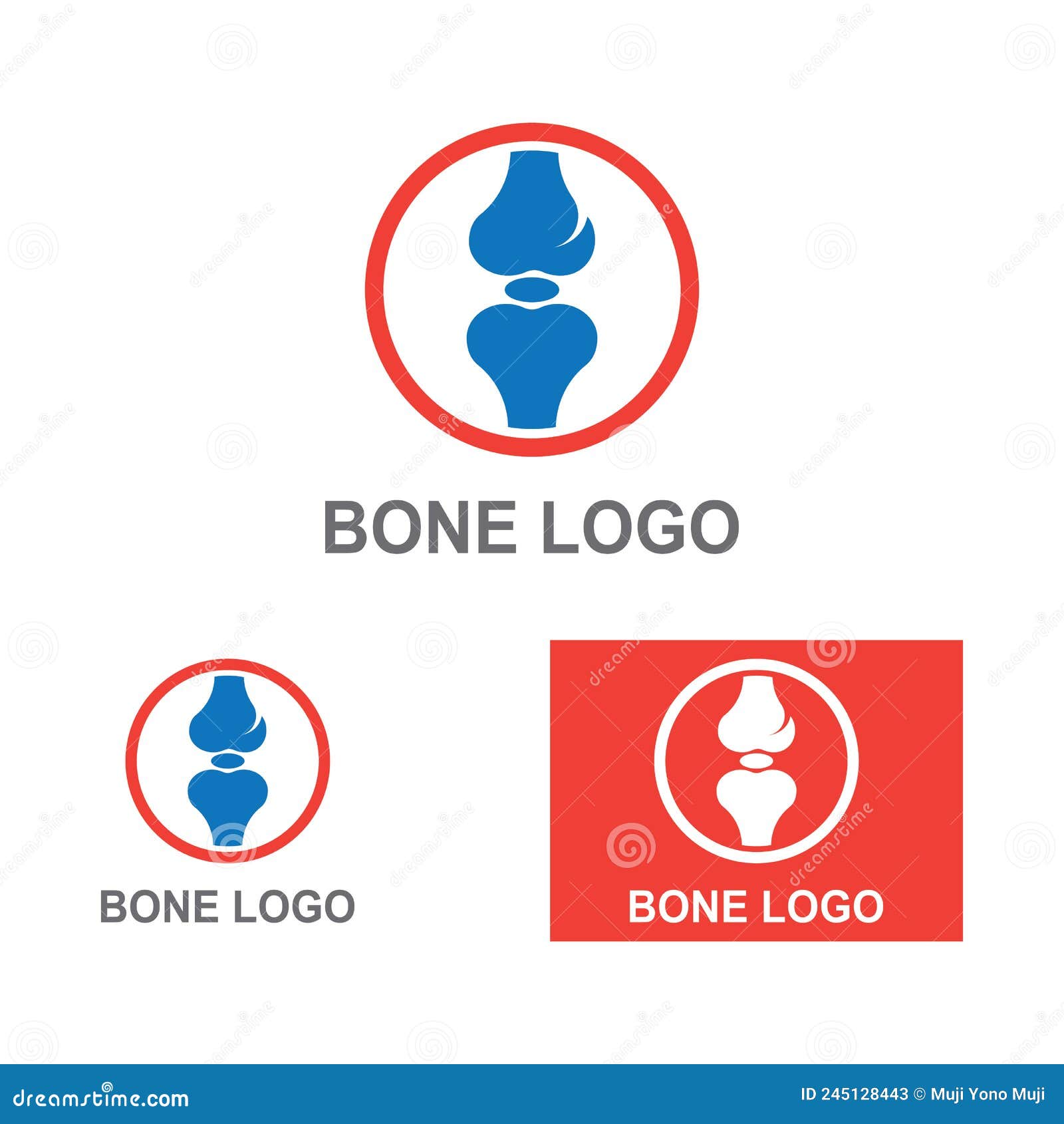Bone Logo Icon Vector Design Template Illustration Stock Illustration ...