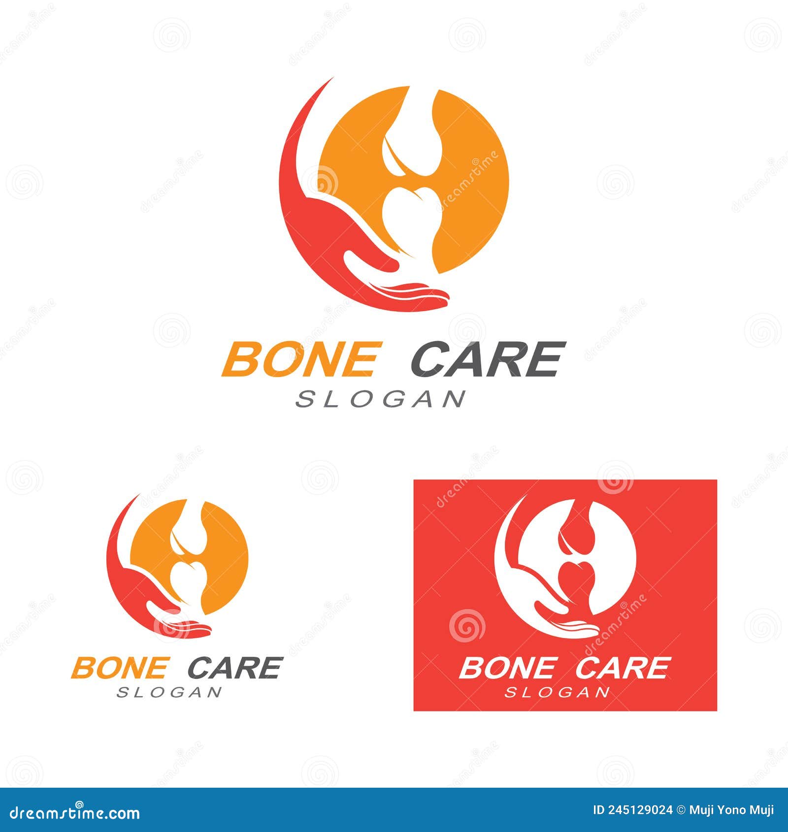 Bone Logo Icon Vector Design Template Illustration Stock Vector ...