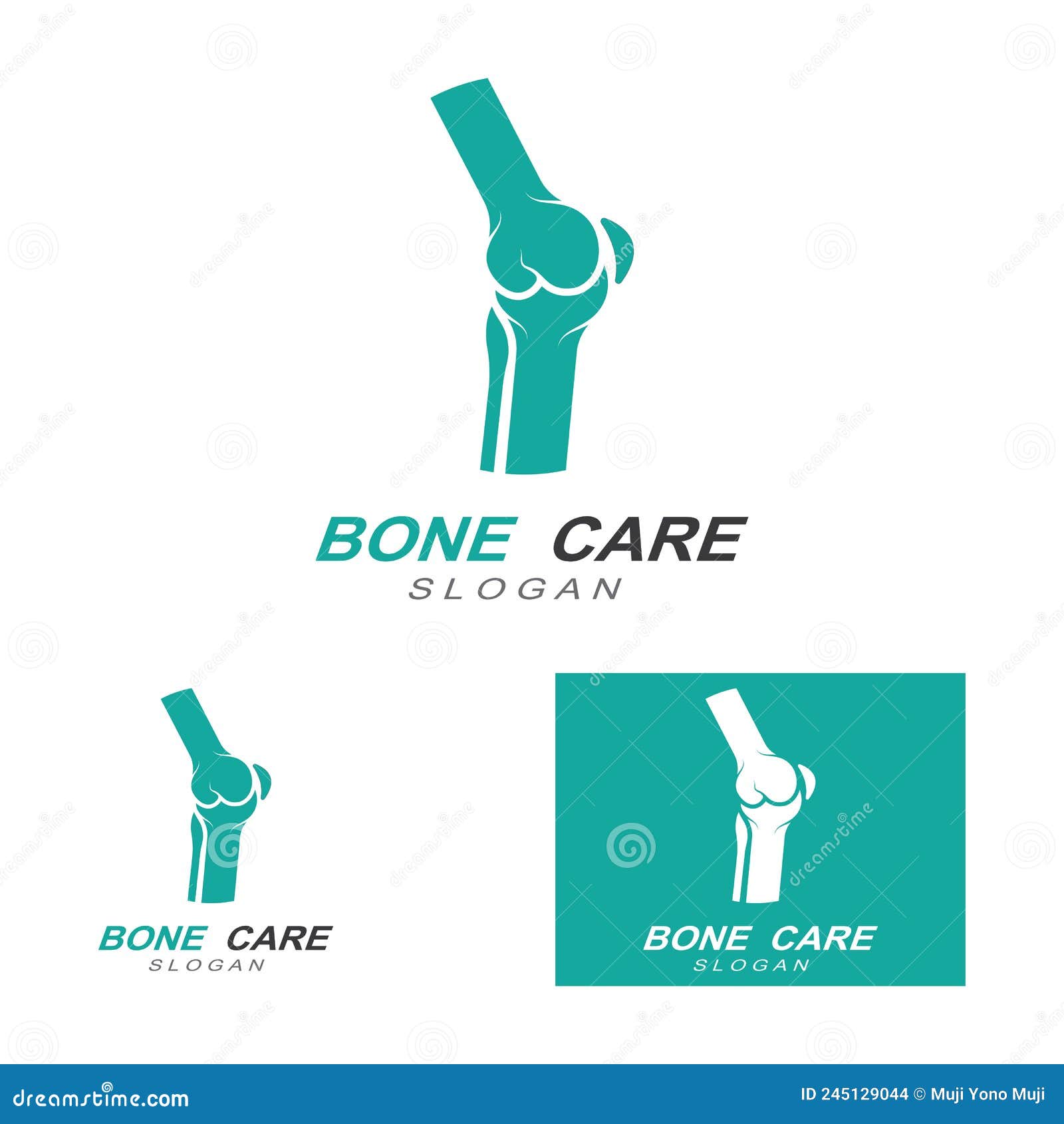 Bone Logo Icon Vector Design Template Illustration Stock Vector ...