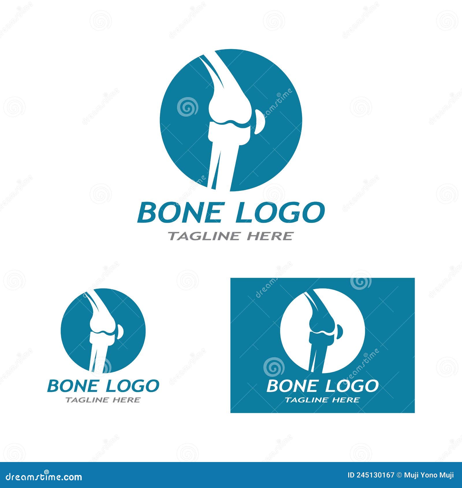 Bone Logo Icon Vector Design Template Illustration Stock Illustration ...