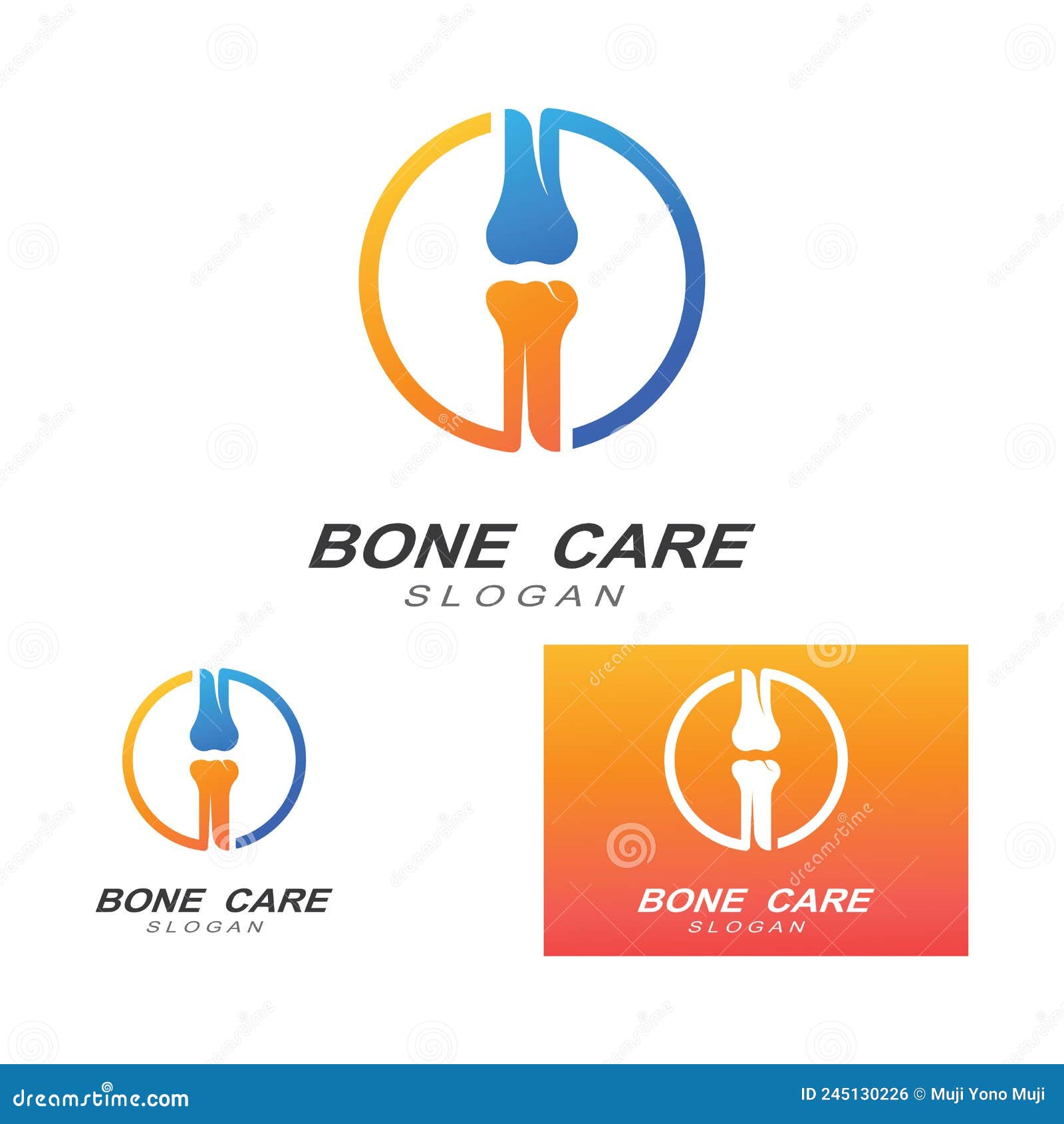 Bone Logo Icon Vector Design Template Illustration Stock Illustration ...