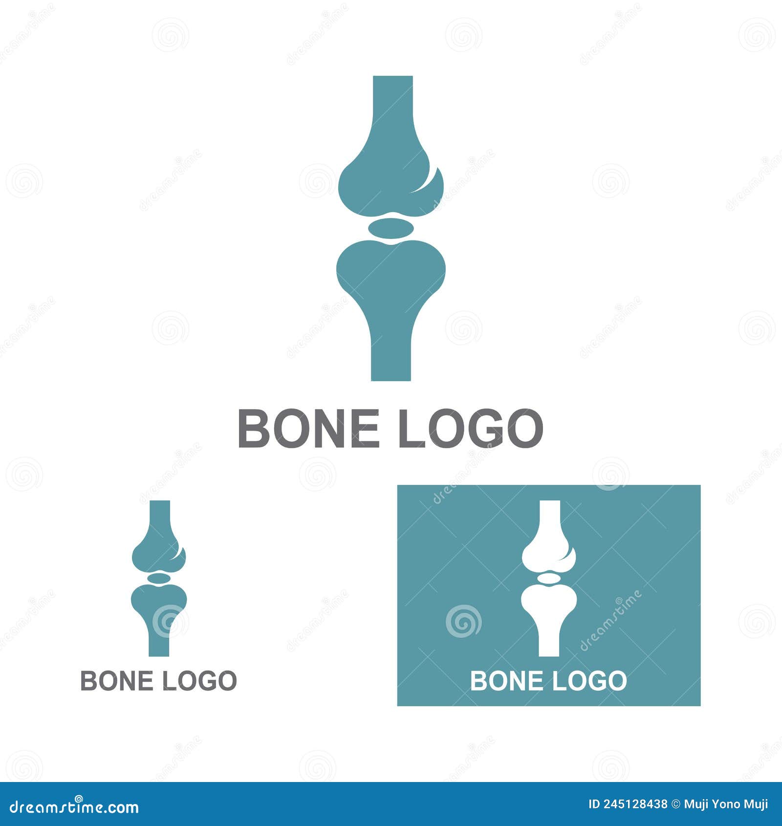 Bone Logo Icon Vector Design Template Illustration Stock Illustration ...