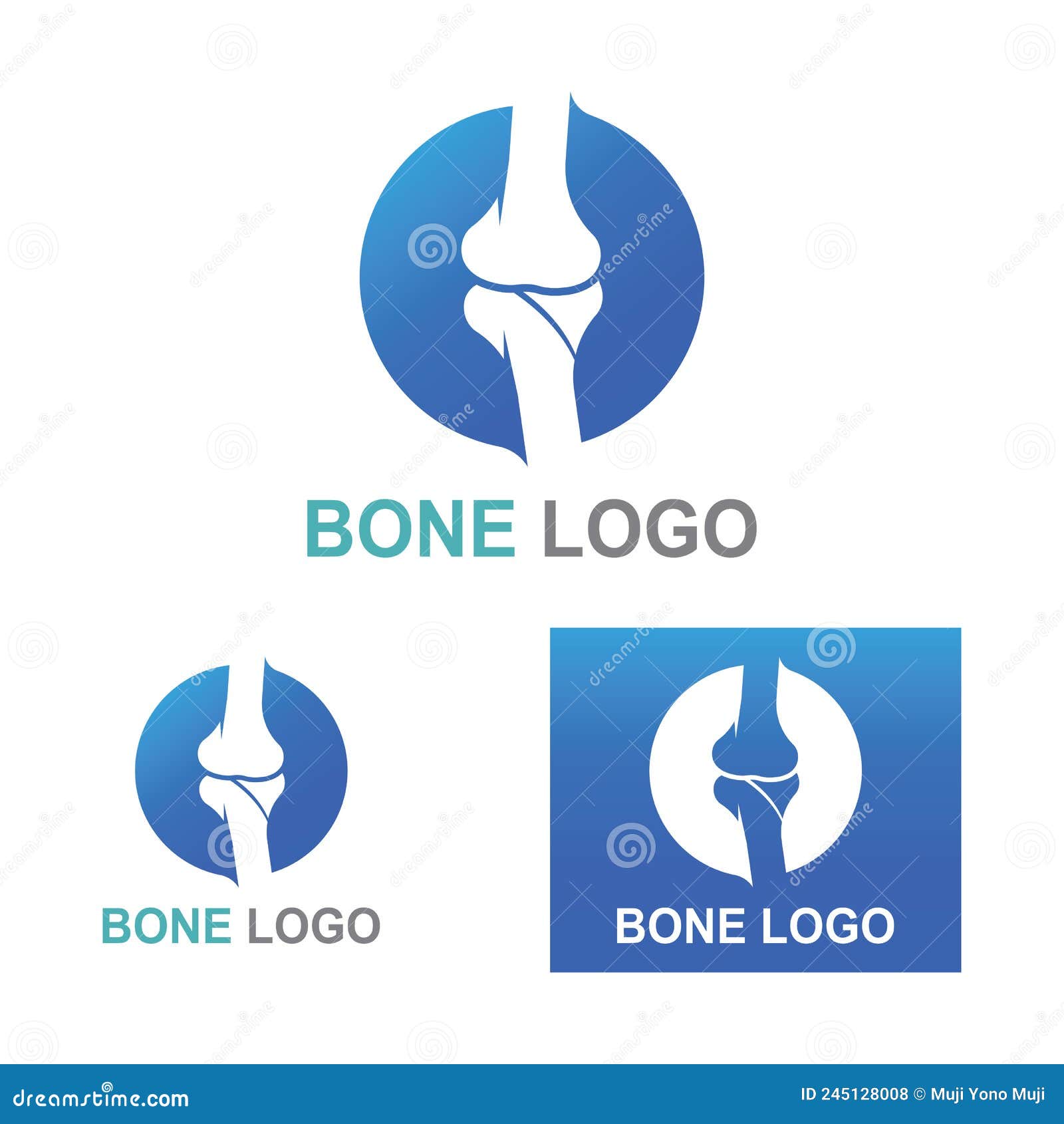 Bone Logo Icon Vector Design Template Illustration Stock Vector ...