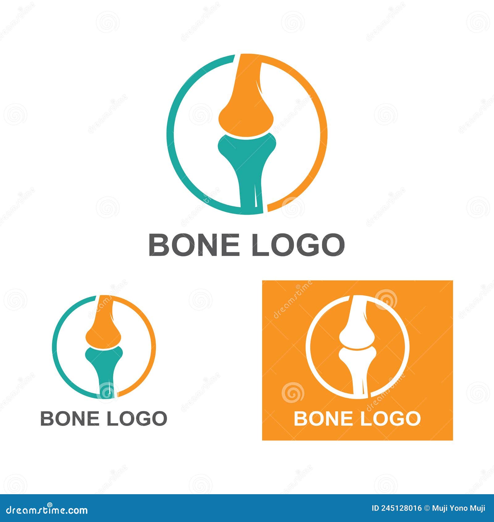 Bone Logo Icon Vector Design Template Illustration Stock Vector ...