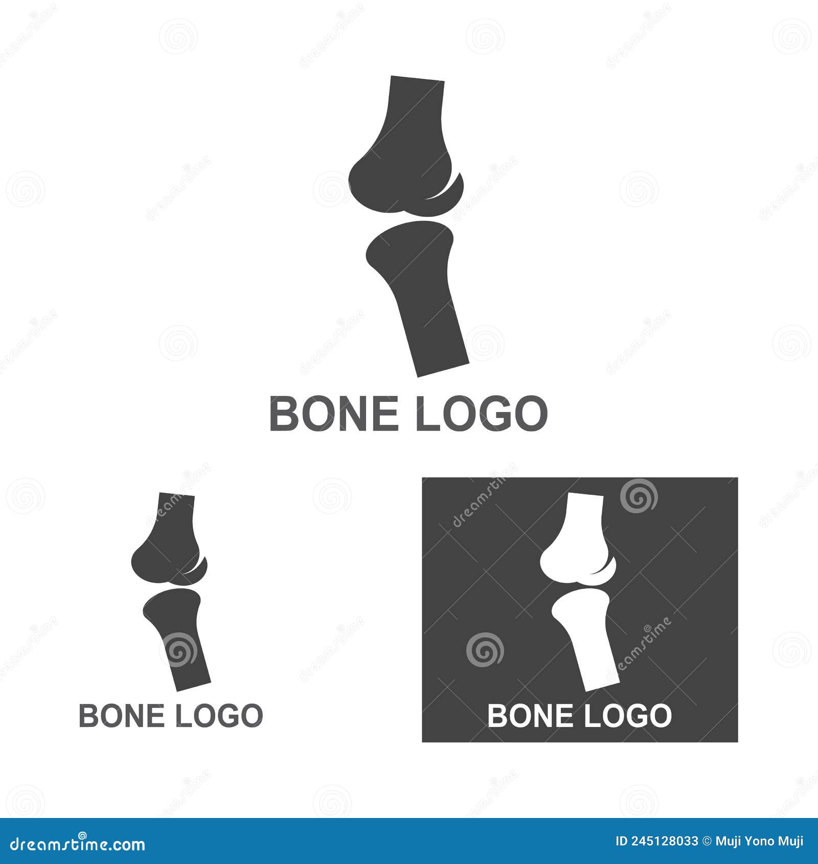 Bone Logo Icon Vector Design Template Illustration Stock Vector ...