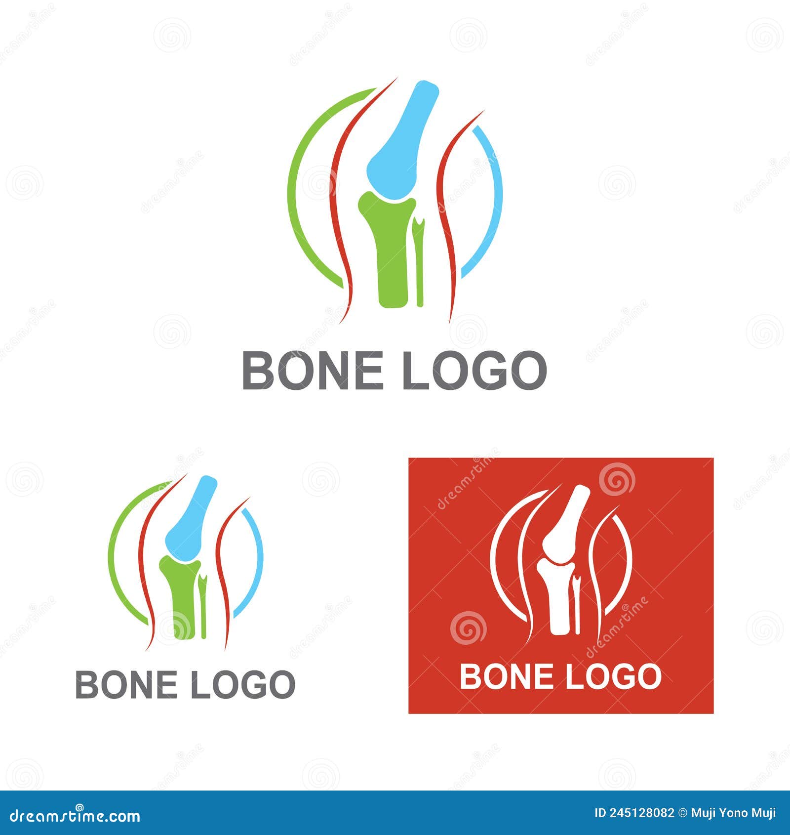 Bone Logo Icon Vector Design Template Illustration Stock Vector ...
