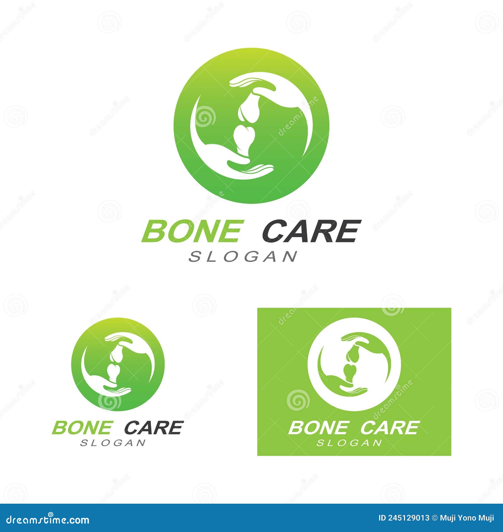 Bone Logo Icon Vector Design Template Illustration Stock Vector ...