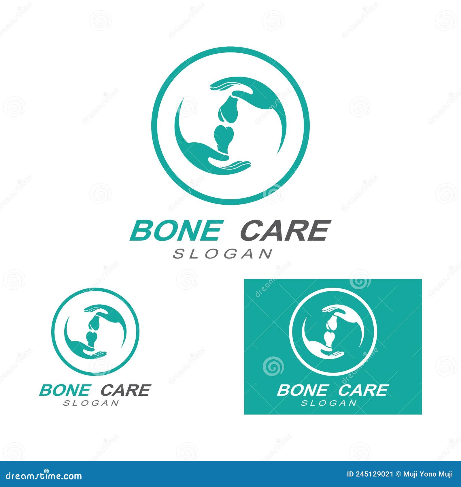 Bone Logo Icon Vector Design Template Illustration Stock Vector ...