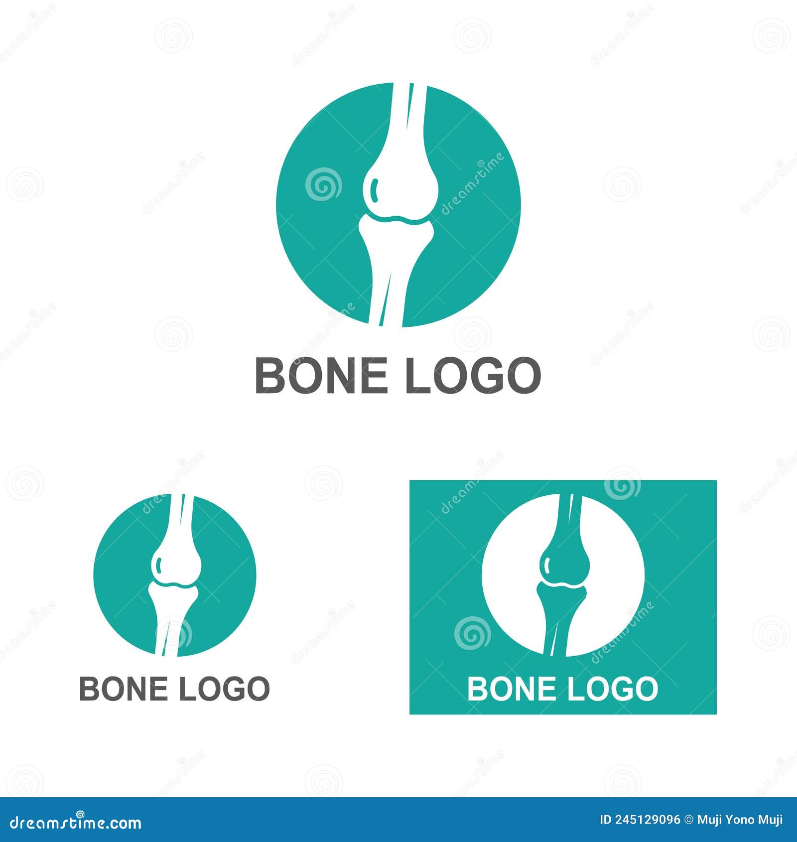 Bone Logo Icon Vector Design Template Illustration Stock Vector ...