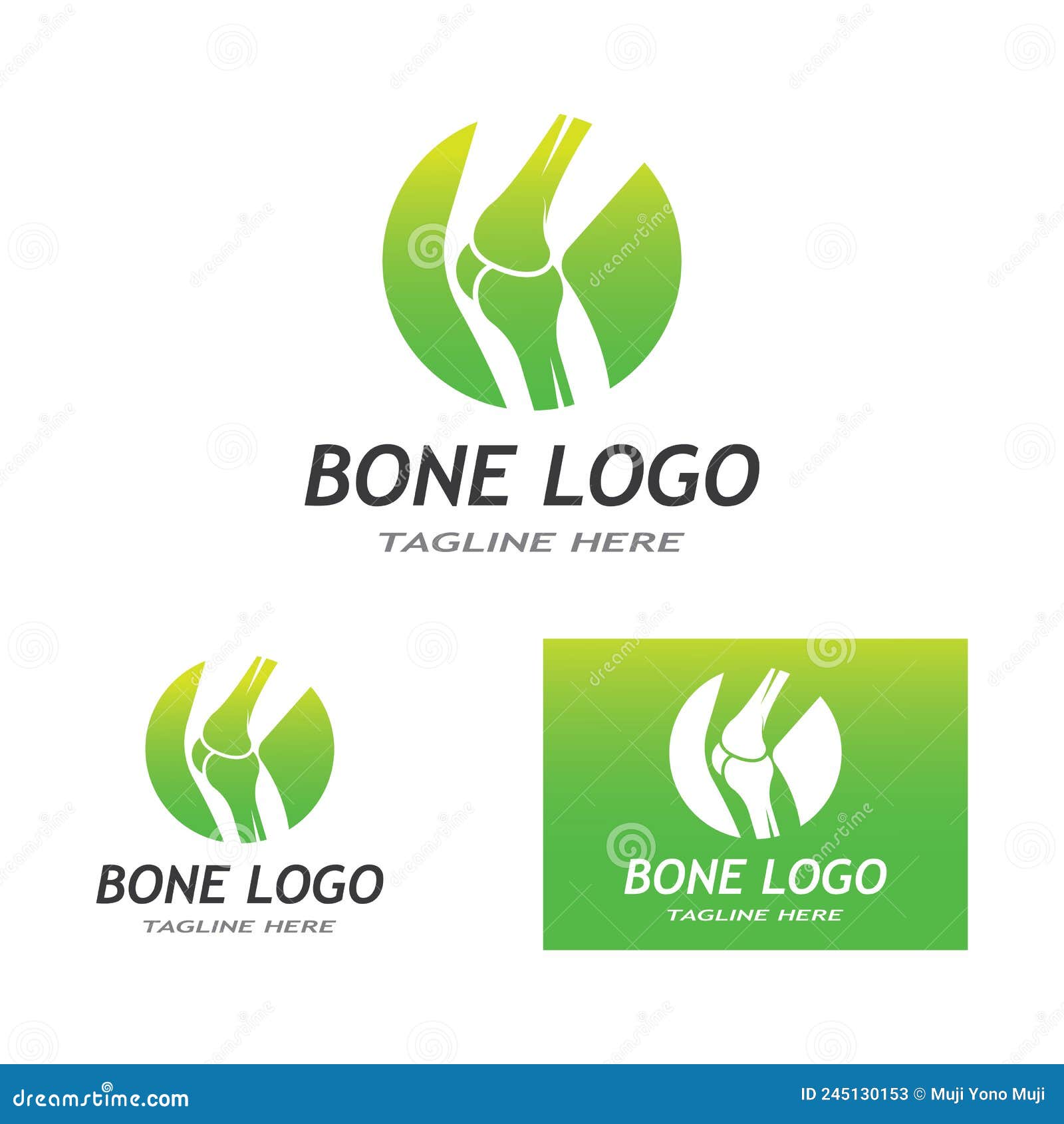 Bone Logo Icon Vector Design Template Illustration Stock Illustration ...