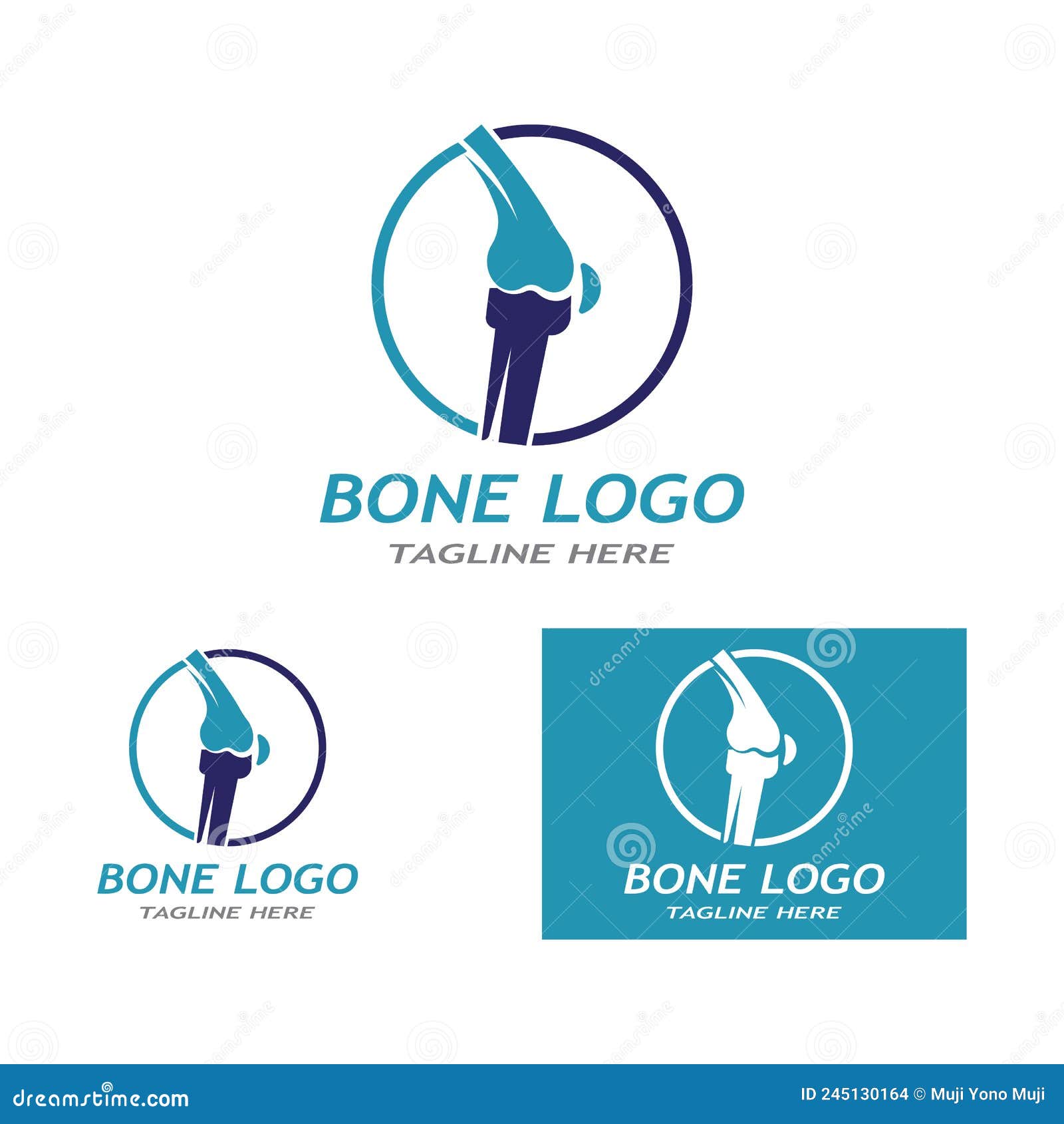 Bone Logo Icon Vector Design Template Illustration Stock Illustration ...