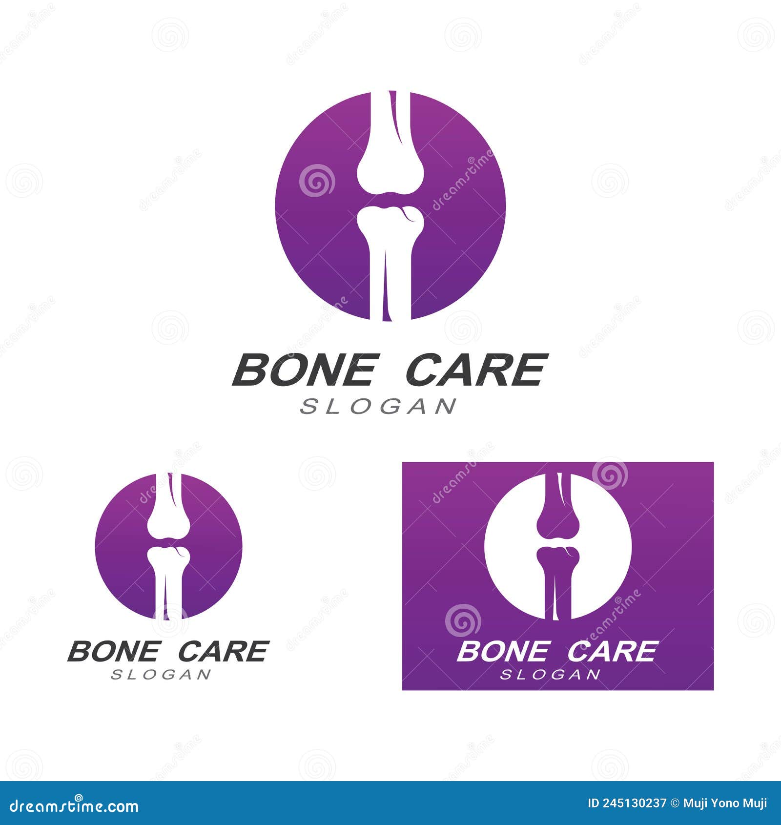 Bone Logo Icon Vector Design Template Illustration Stock Illustration ...
