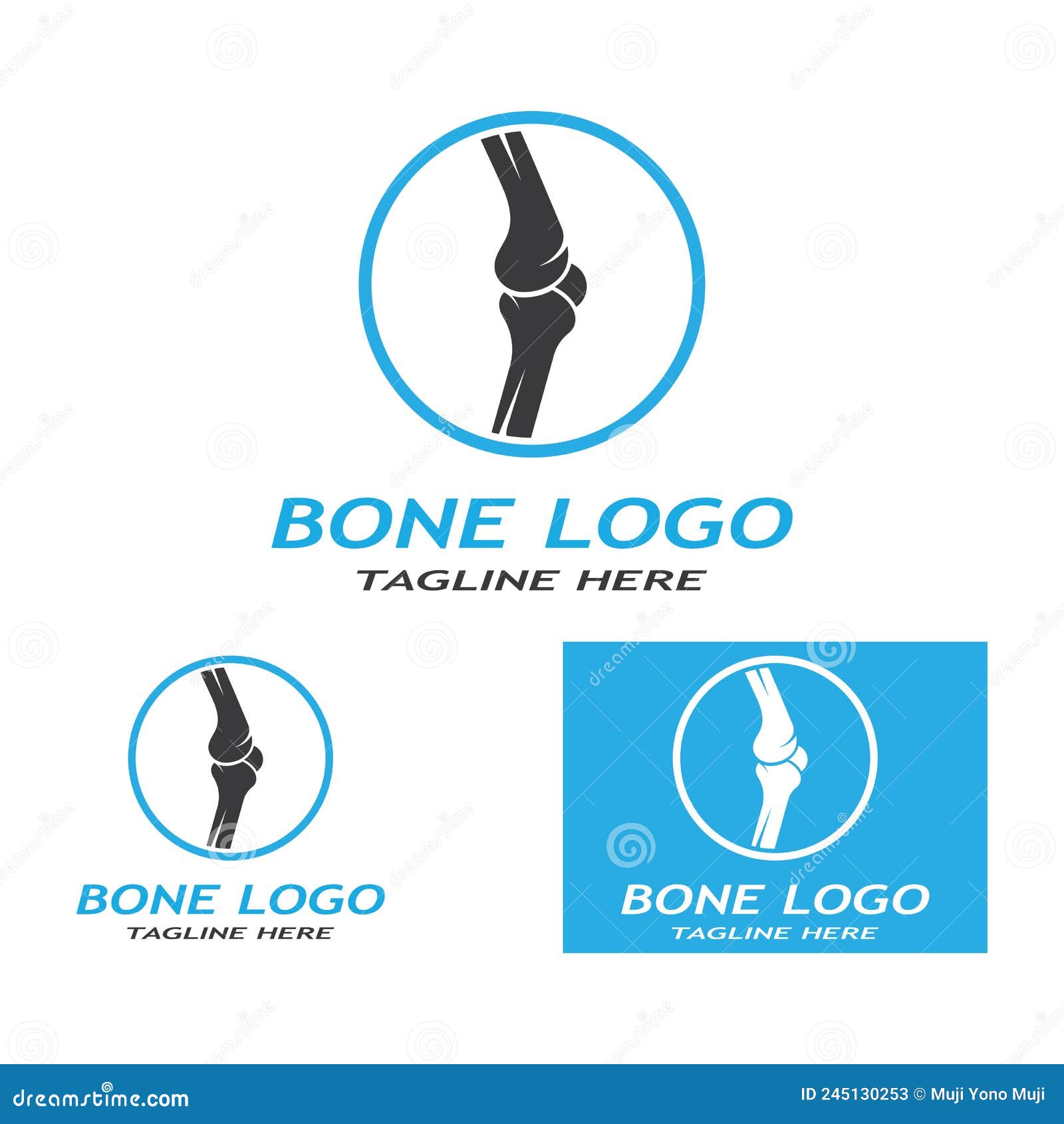 Bone Logo Icon Vector Design Template Illustration Stock Illustration ...