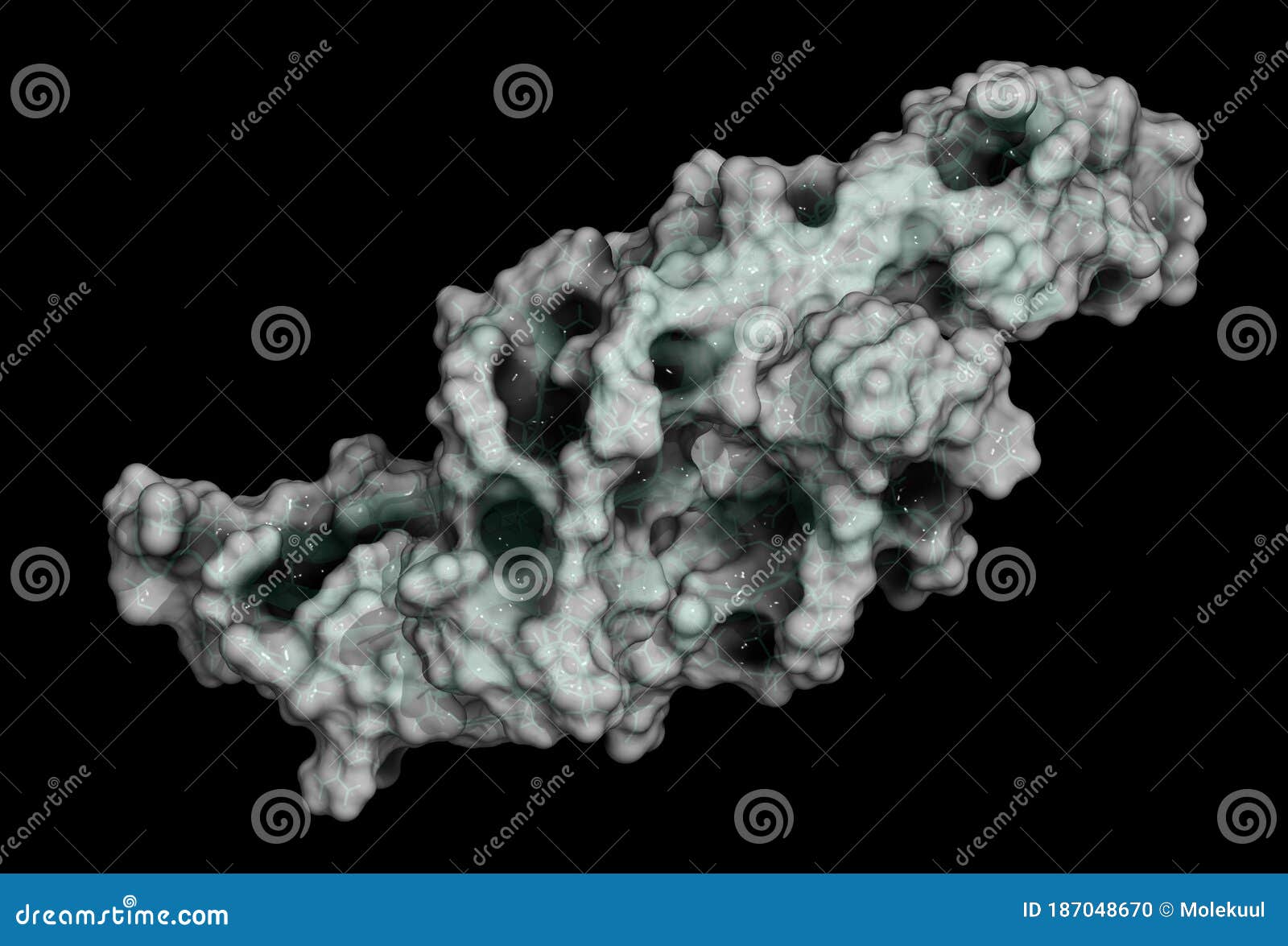 Bone Morphogenetic Protein 2 (BMP-2) Protein. Plays Important Role In ...