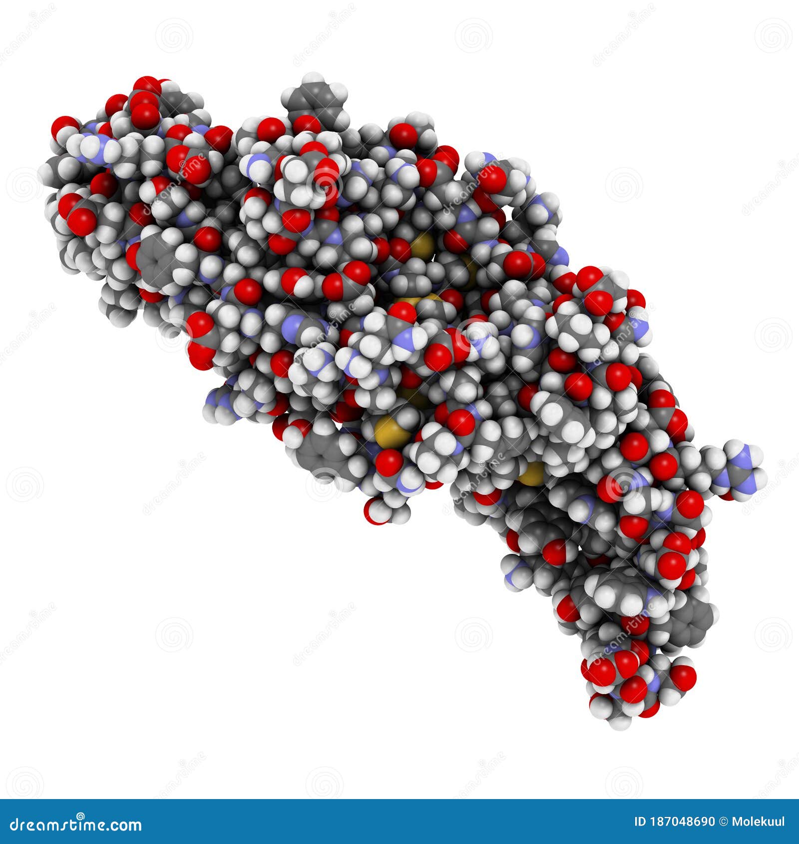 Bone Morphogenetic Protein 2 (BMP-2) Protein. Plays Important Role In ...