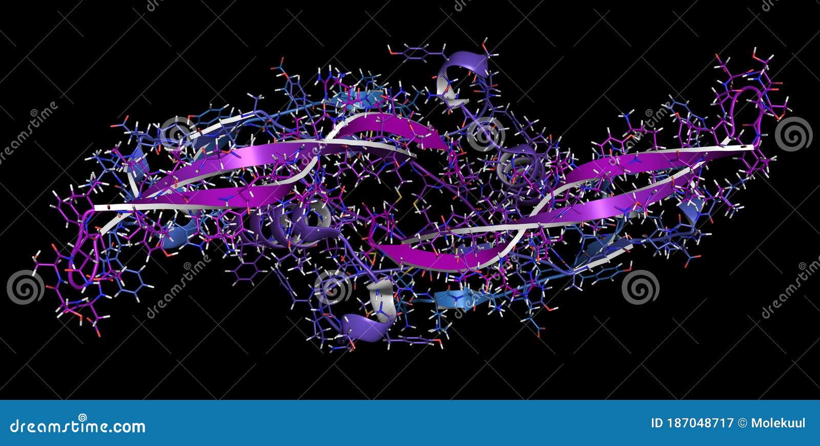 Bone Morphogenetic Protein 2 (BMP-2) Protein. Plays Important Role In ...