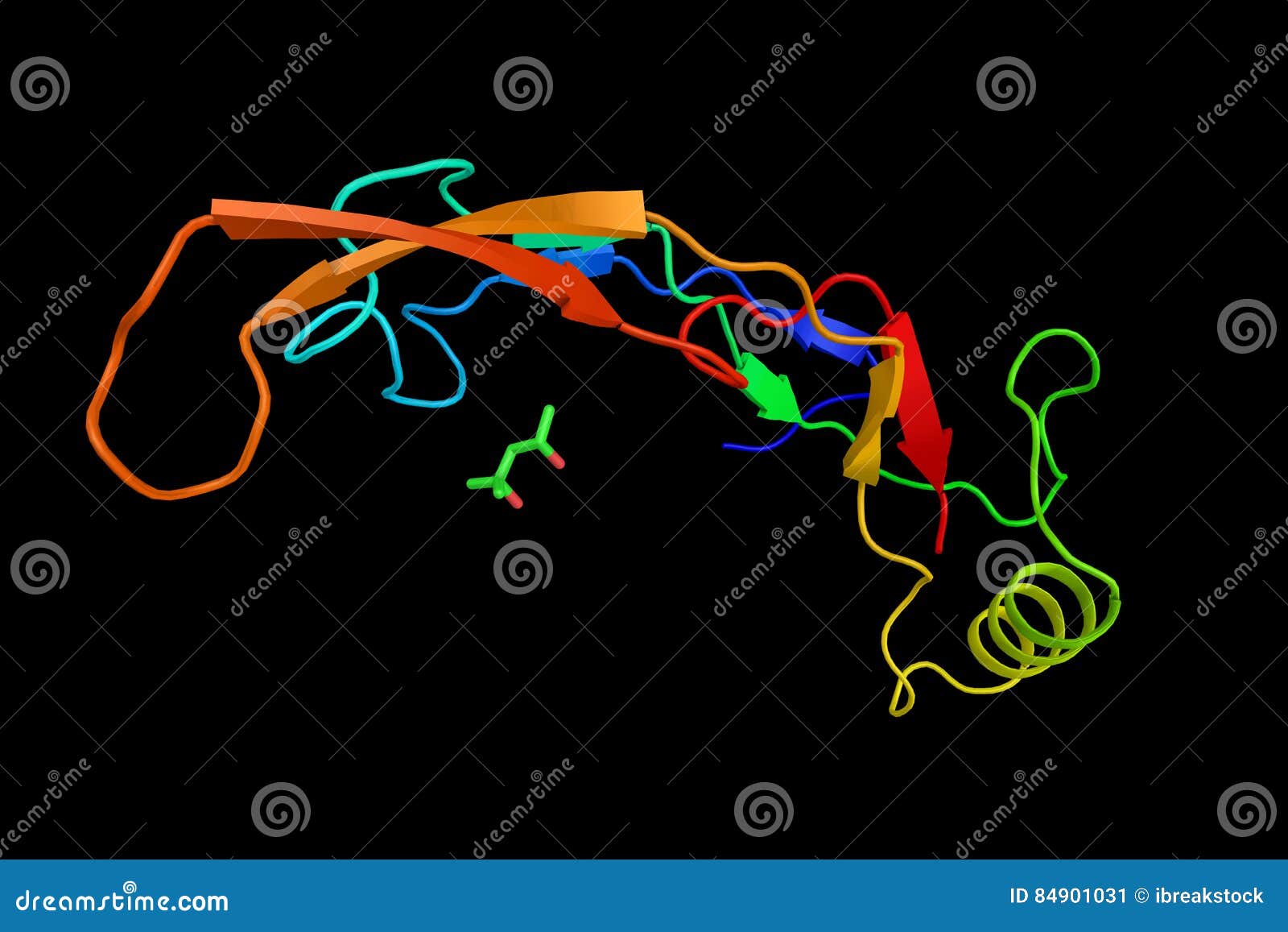 Bone Morphogenetic Protein 2 Plays an Important Role in the Development ...