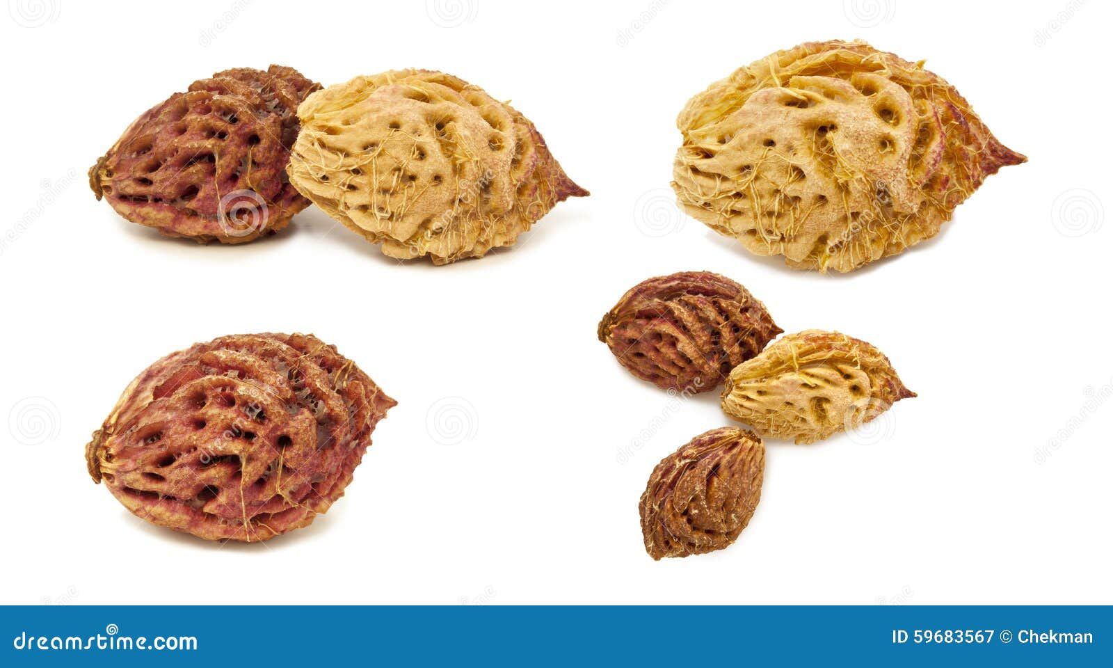 Bone of a peach isolated stock image. Image of vegetarian - 59683567