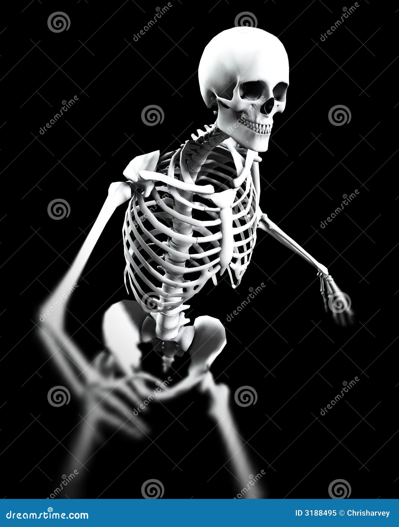 Skeletal Corpse Of A Man Lying On The Stones Isolated On White ...