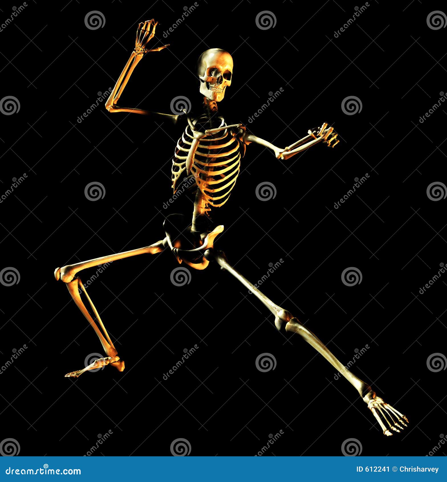 Bone pose 4 stock illustration. Illustration of anatomy - 612241