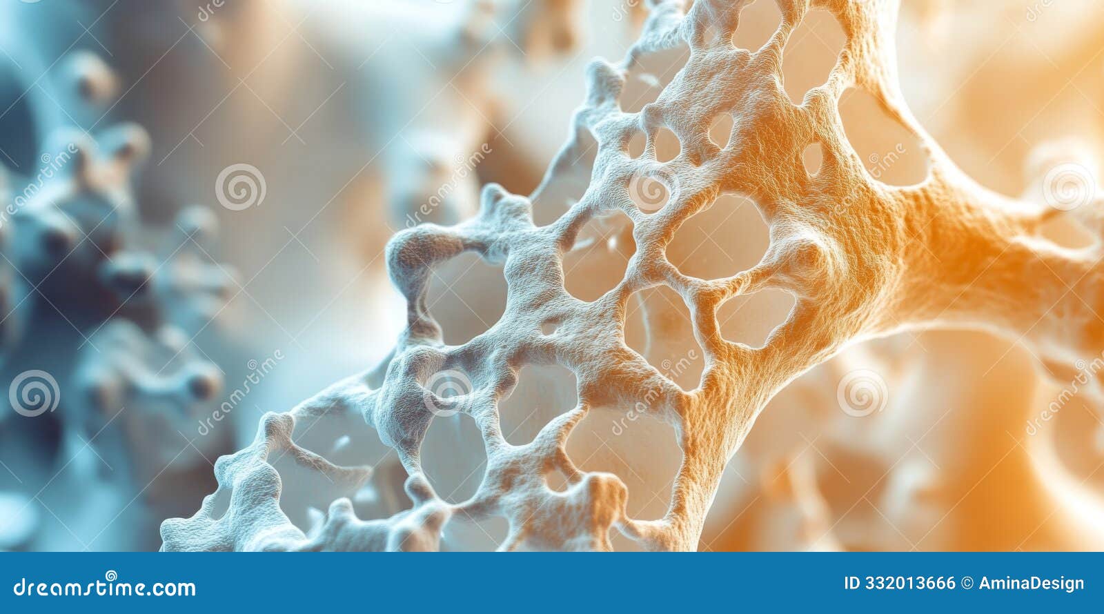 The Bone Resorption Process Osteoclasts And Their Role In Bone Tissue ...