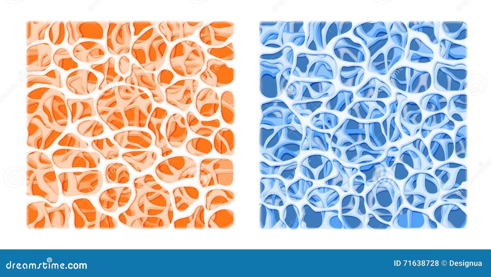 Egg Structure Vector Illustration. Labeled Educational Anatomy Info ...