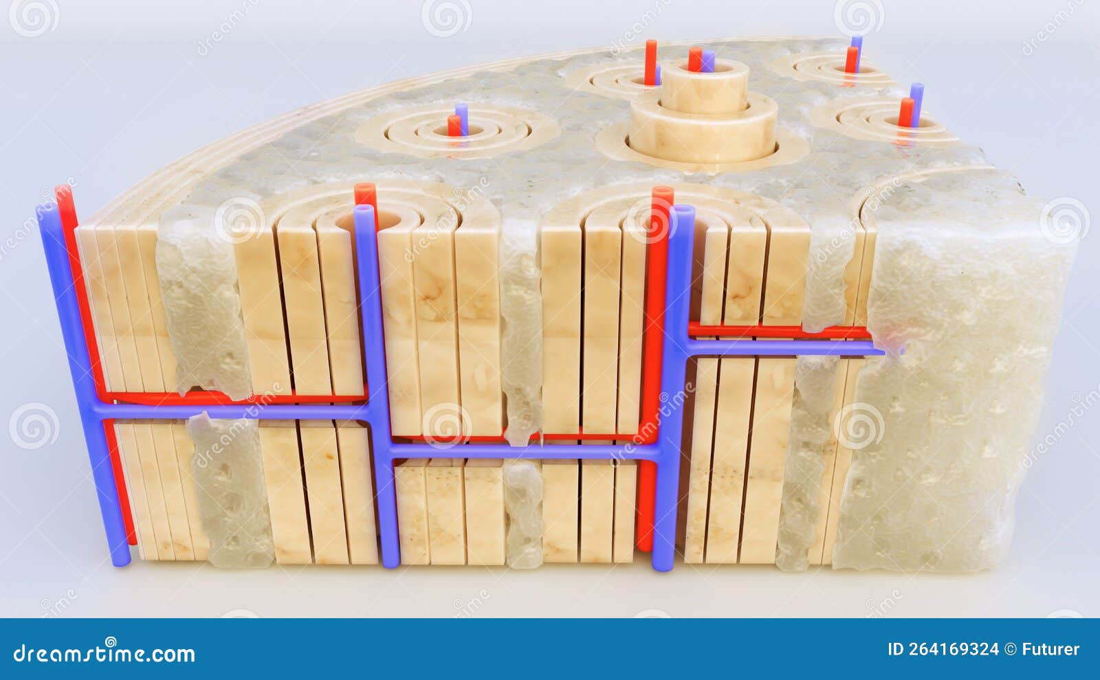 Bone Tissue Closeup Through A Cross Section Of A Bone - 3D Rendering ...
