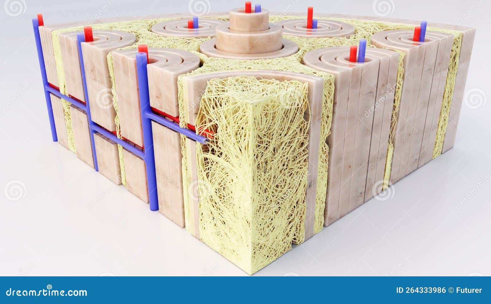 Bone Tissue Closeup through a Cross Section of a Bone - 3D Rendering ...