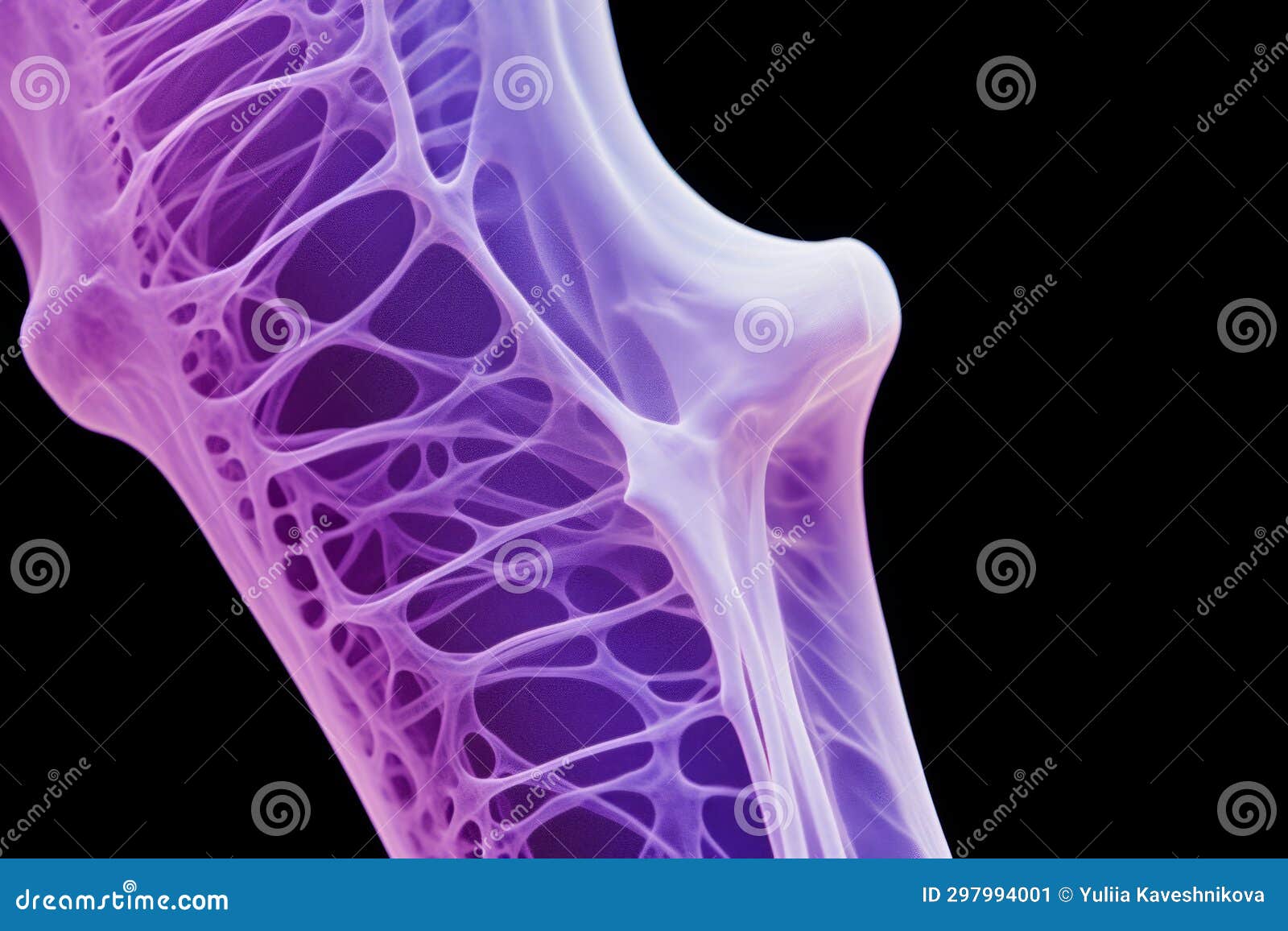 Bone Tissue Human Skeleton Under Microscope Cells Structure Medical ...