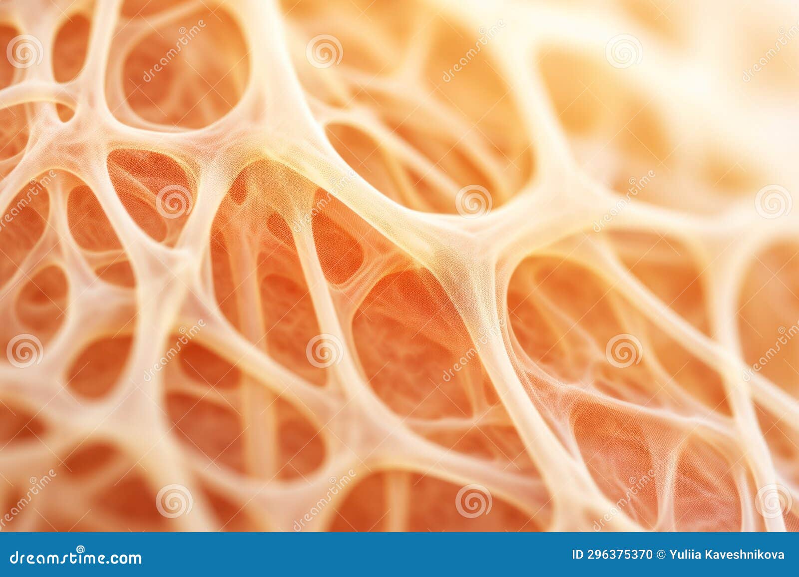 Bone Tissue Human Skeleton Under Microscope Cells Structure Medical ...