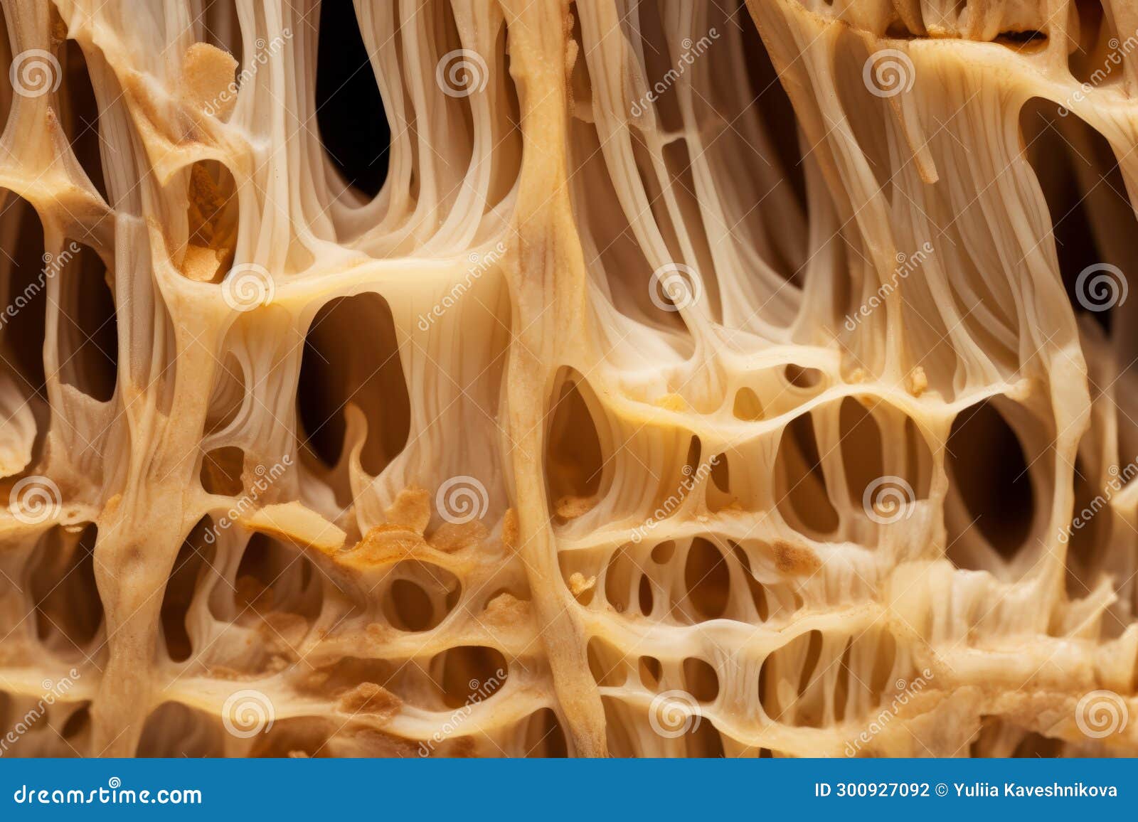 Bone Tissue Closeup Through A Cross Section Of A Bone 3d Rendering