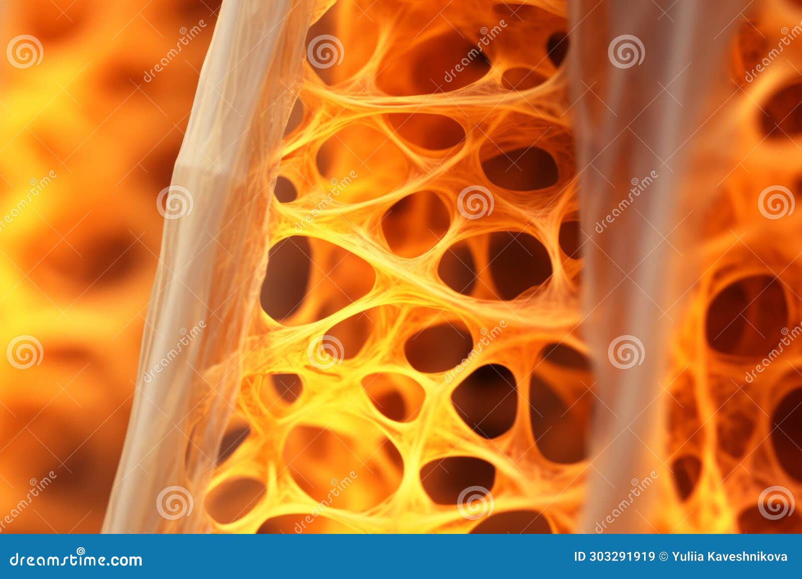 Bone Tissue Human Skeleton Under Microscope Cells Structure Medical ...