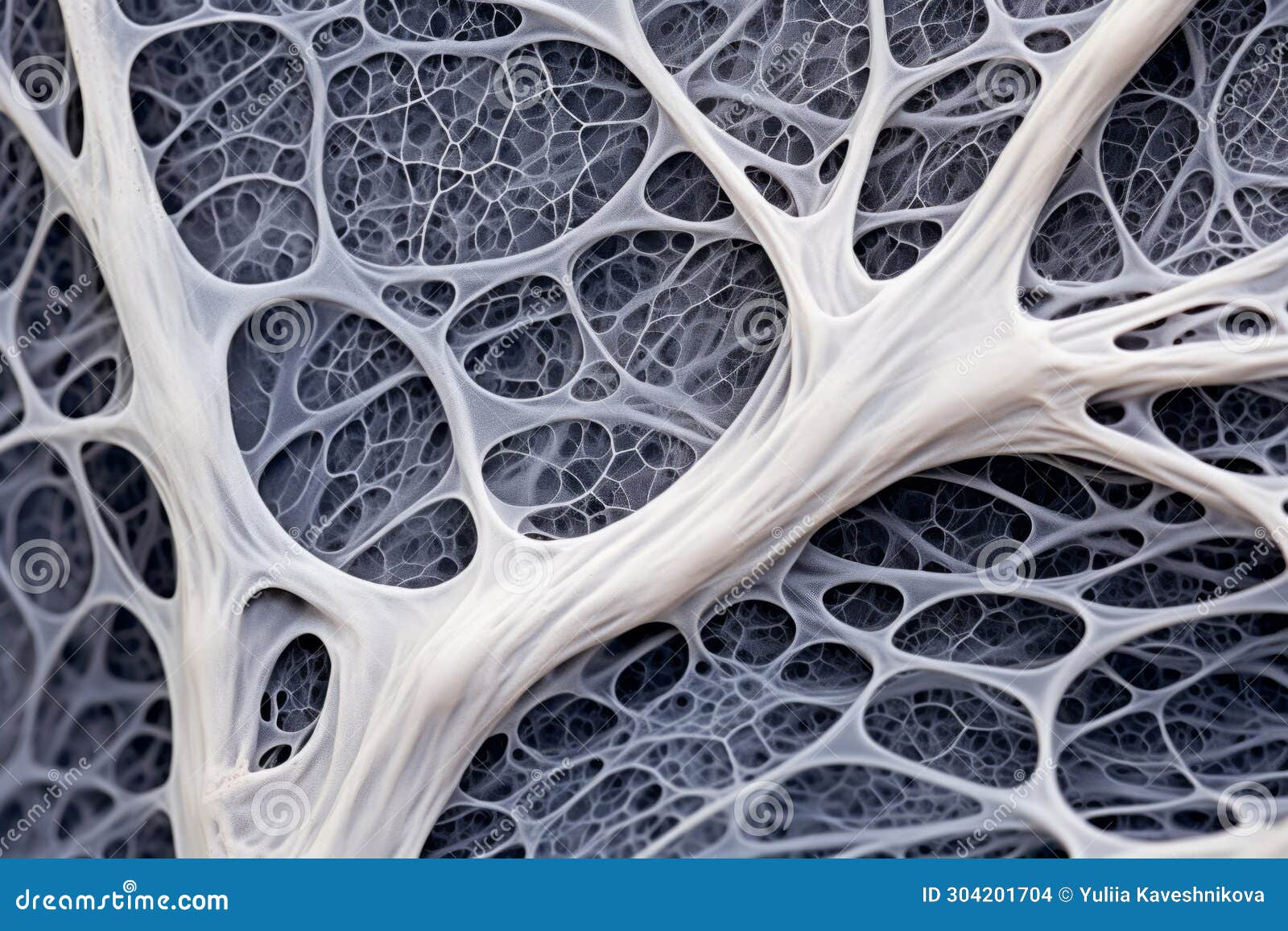 Bone Tissue Human Skeleton Under Microscope Cells Structure Medical ...