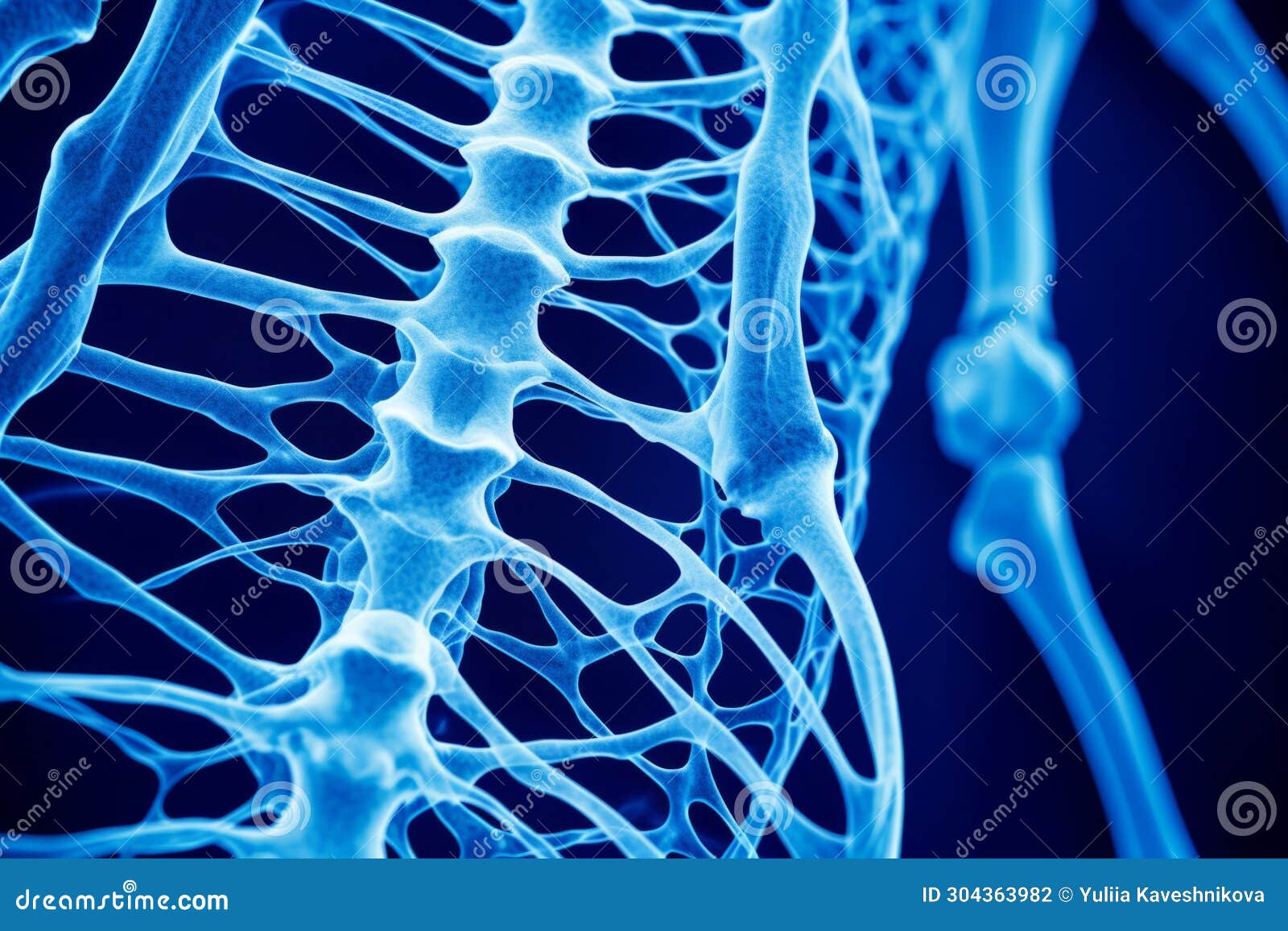 Bone Tissue Human Skeleton Under Microscope Cells Structure Medical ...