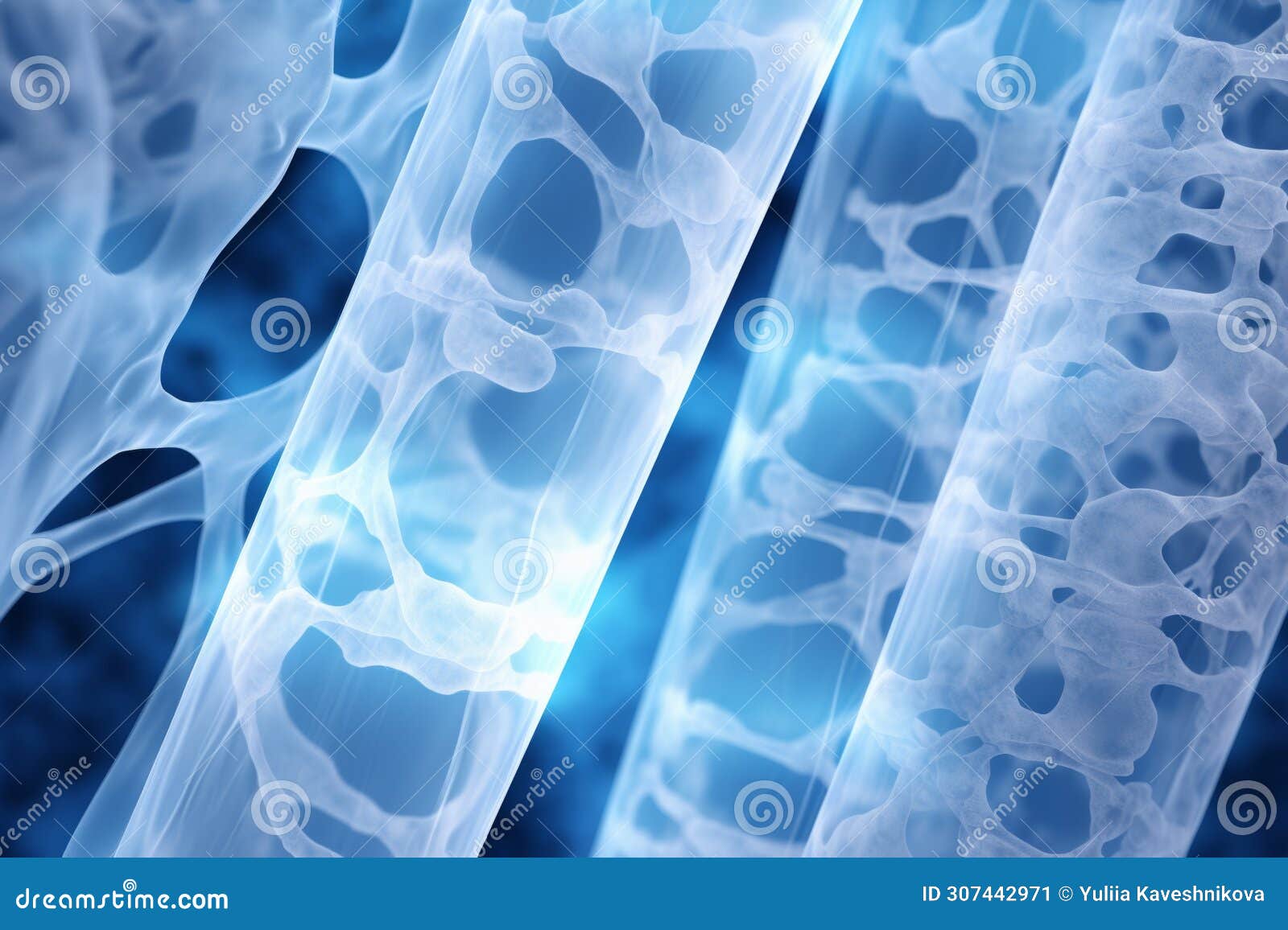Bone Tissue Human Skeleton Under Microscope Cells Structure Medical ...