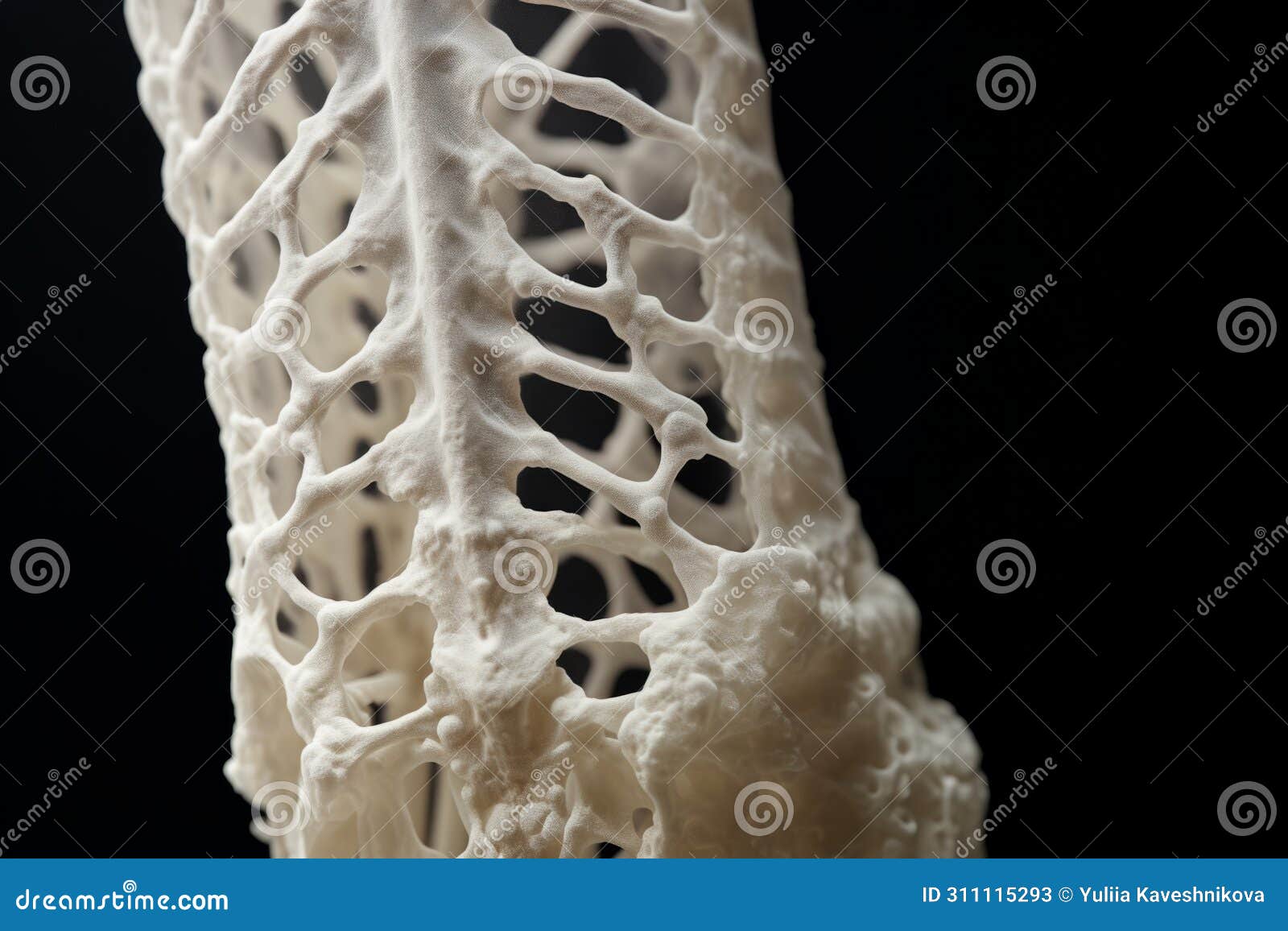 Bone Tissue Human Skeleton Under Microscope Cells Structure Medical ...