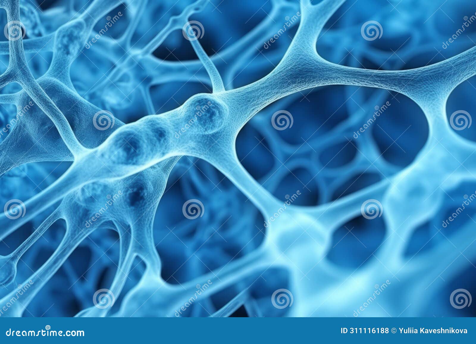 Bone Tissue Human Skeleton Under Microscope Cells Structure Medical ...