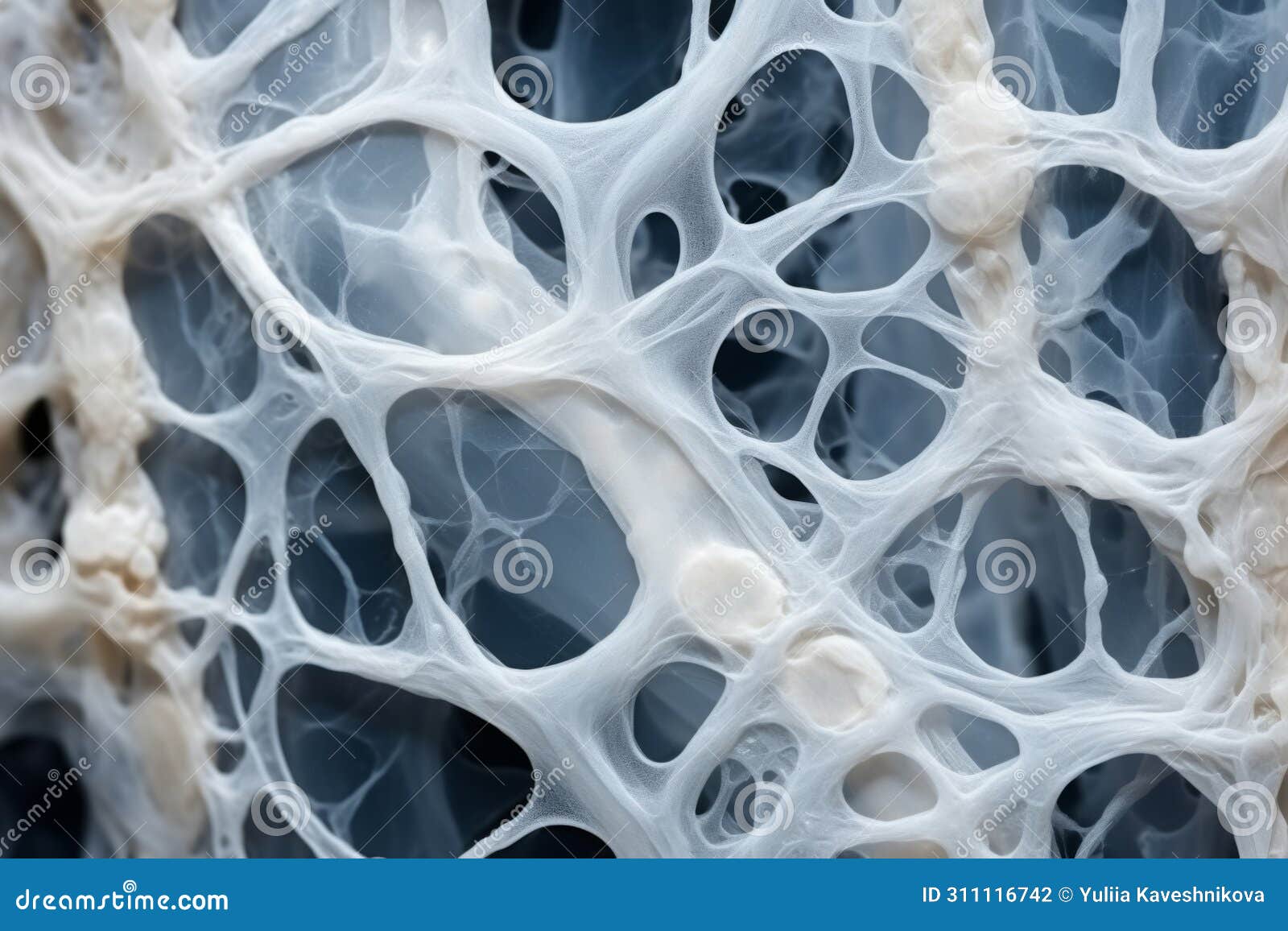 Bone Cell Under Microscope Changing The Fate Of Stem Cells