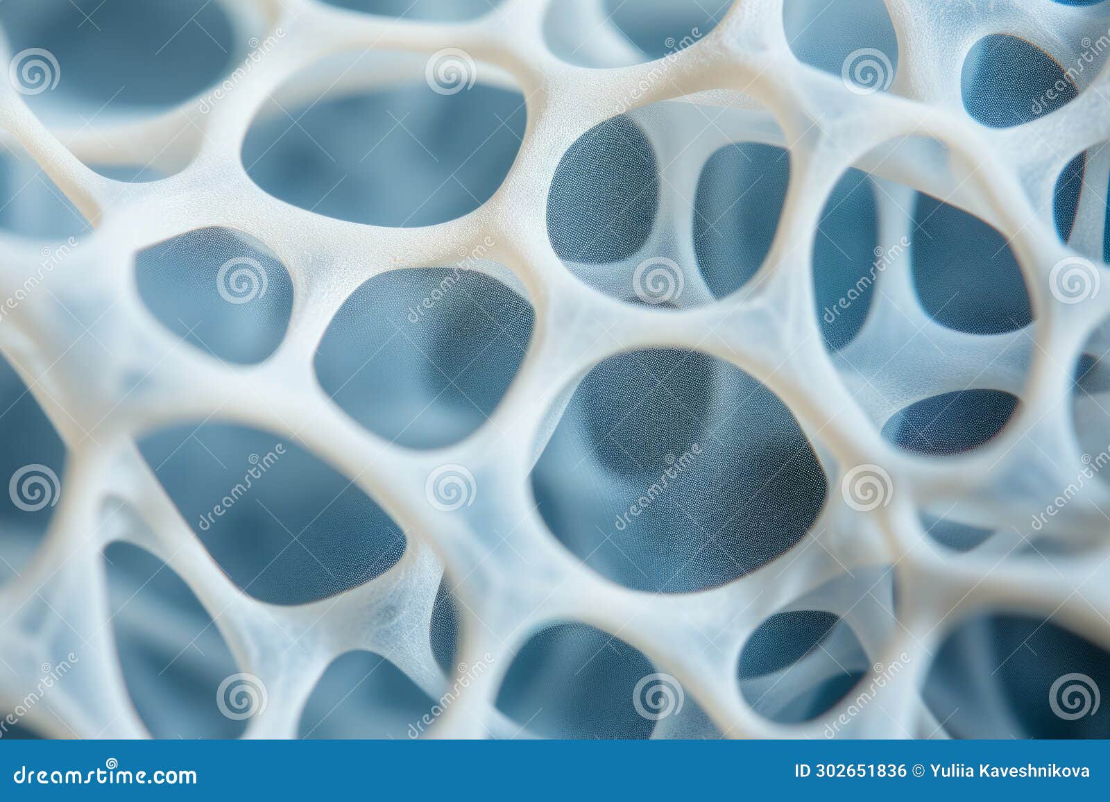 Bone Tissue Human Skeleton Under Microscope Cells Structure Medical ...