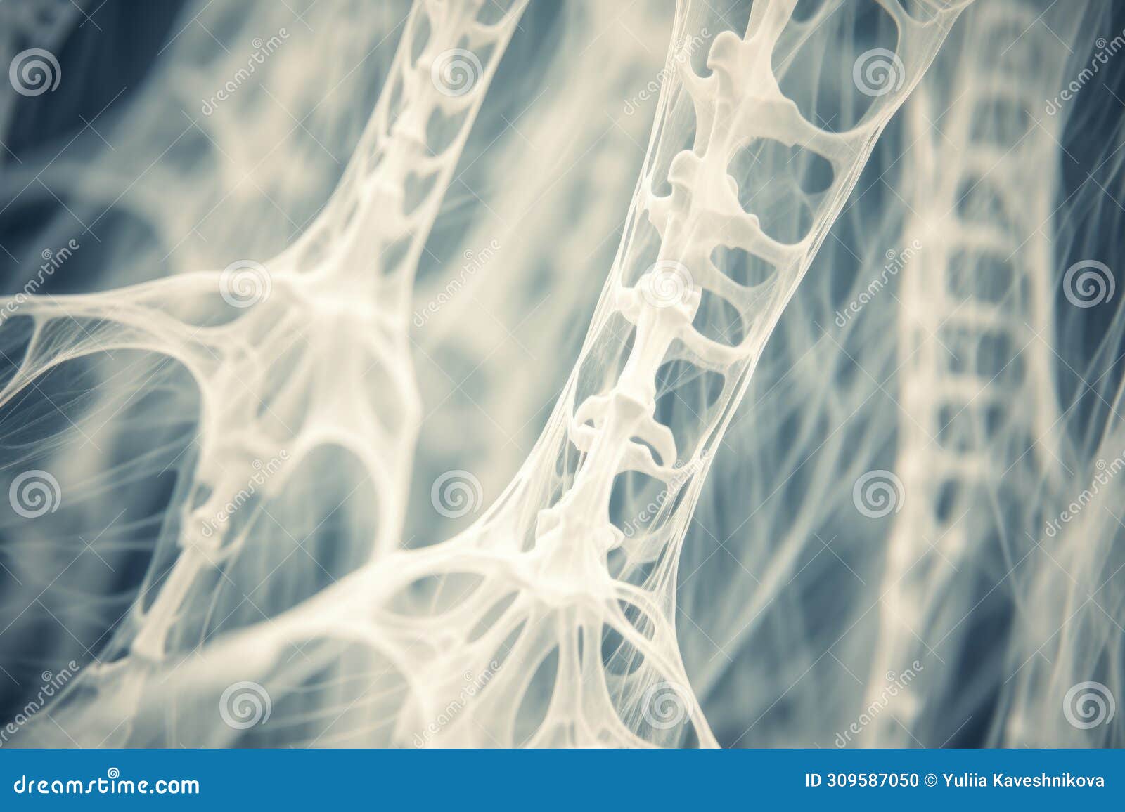 Bone Tissue Human Skeleton Under Microscope Cells Structure Medical ...