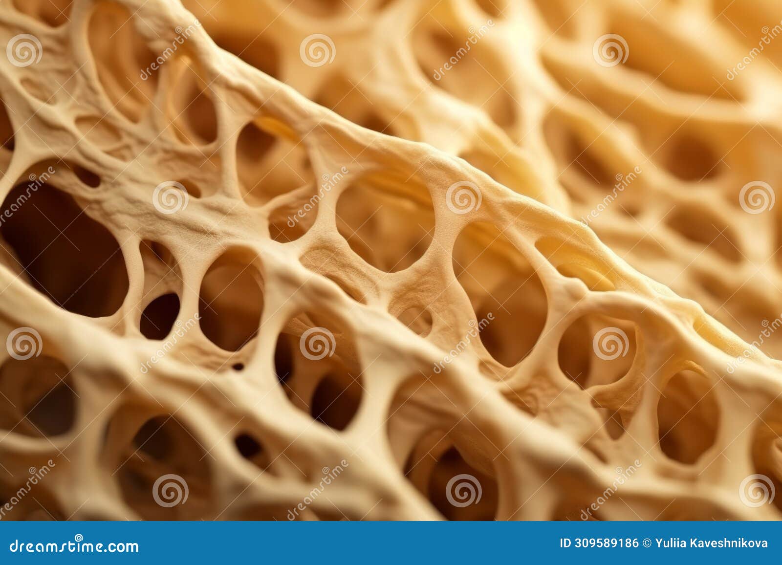 Bone Tissue Human Skeleton Under Microscope Cells Structure Medical ...