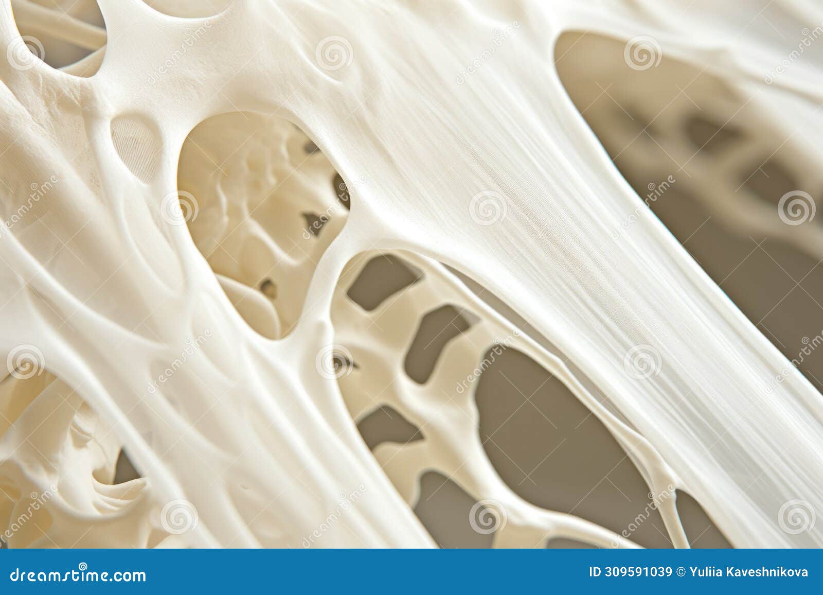 Bone Tissue Human Skeleton Under Microscope Cells Structure Medical ...