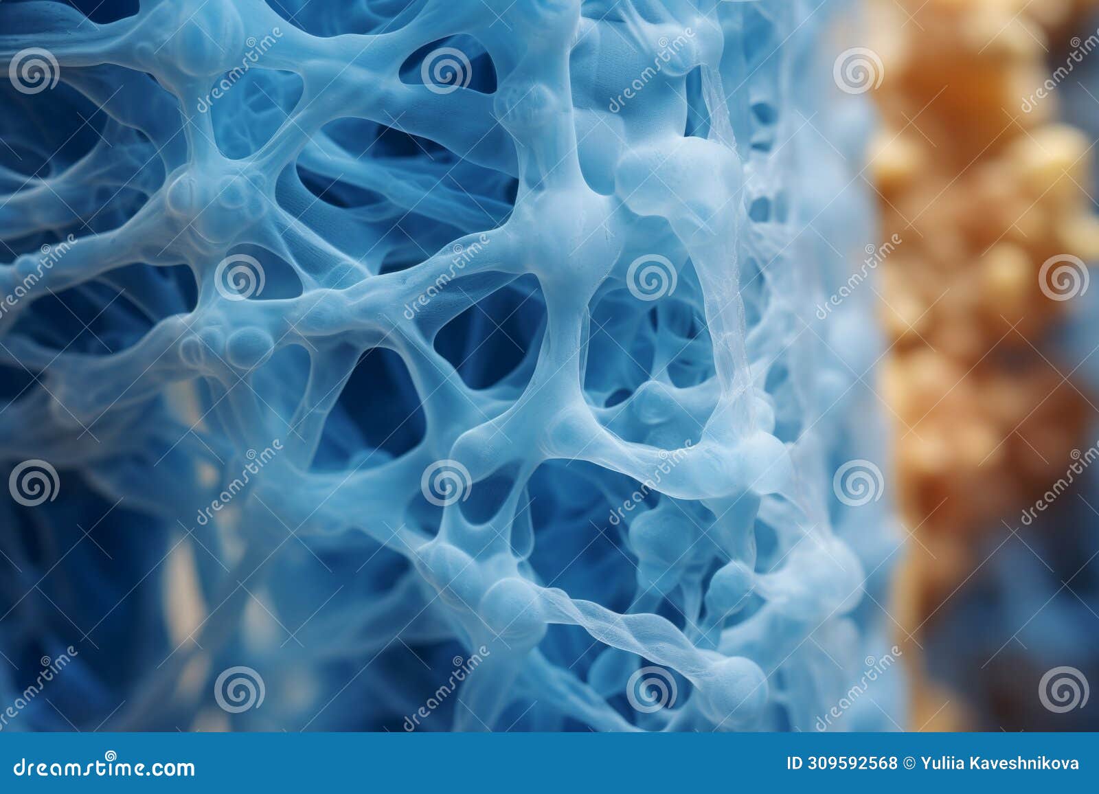 Bone Tissue Human Skeleton Under Microscope Cells Structure Medical ...