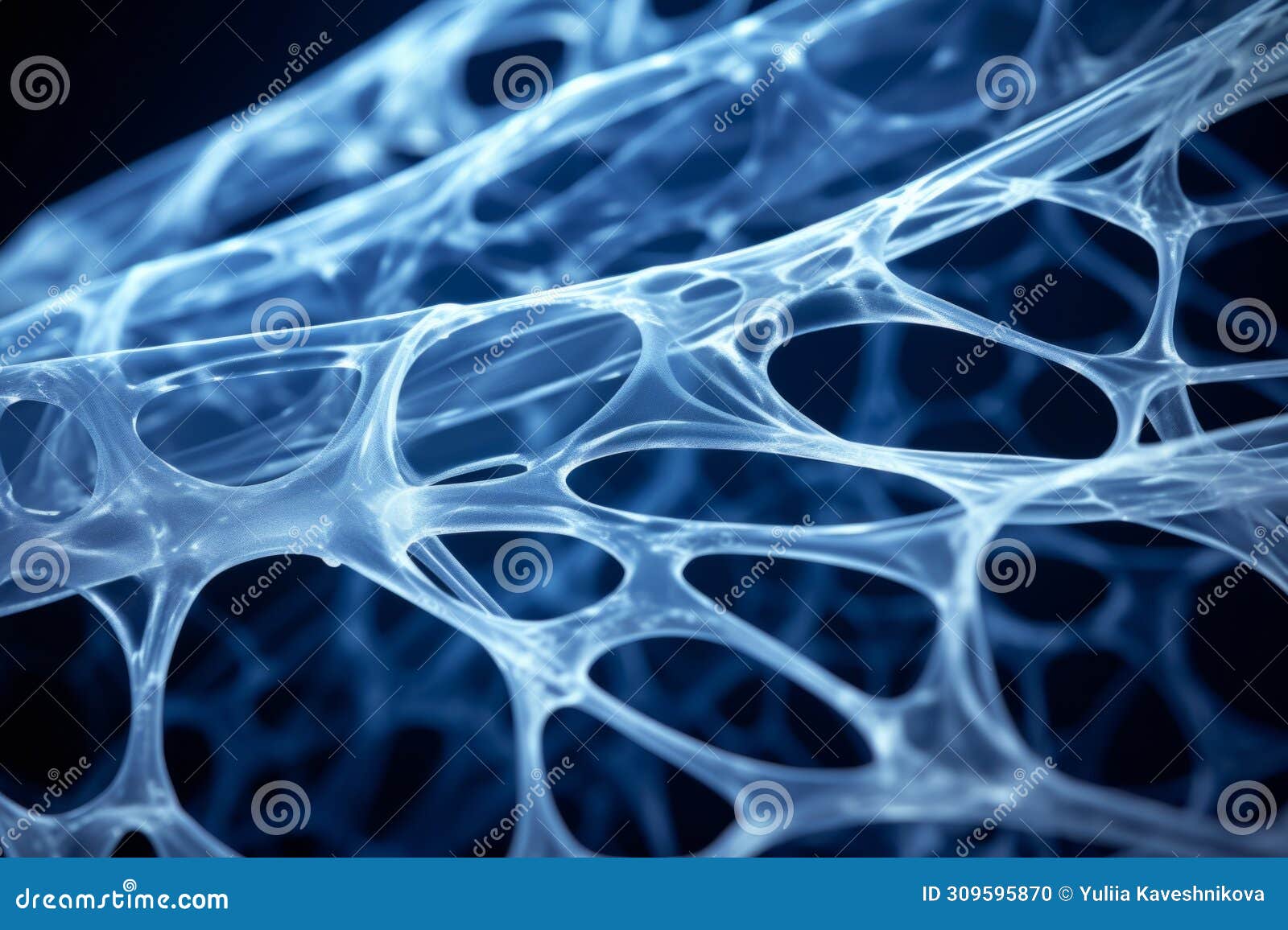 Bone Tissue Human Skeleton Under Microscope Cells Structure Medical ...