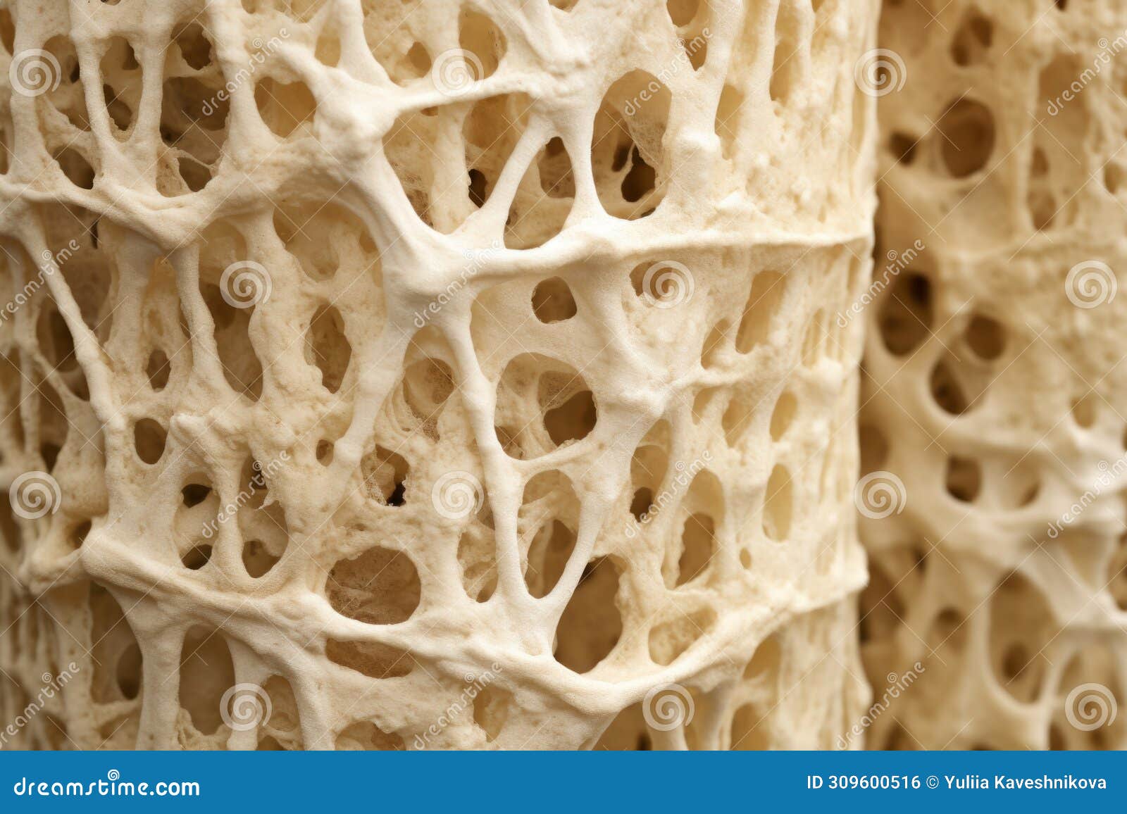 Bone Tissue Human Skeleton Under Microscope Cells Structure Medical ...